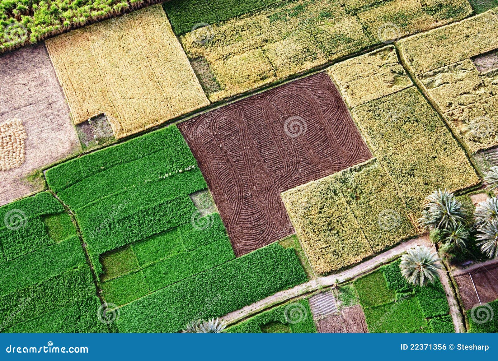 Egyptian fields stock photo. Image of filed, luxor, historical - 22371356