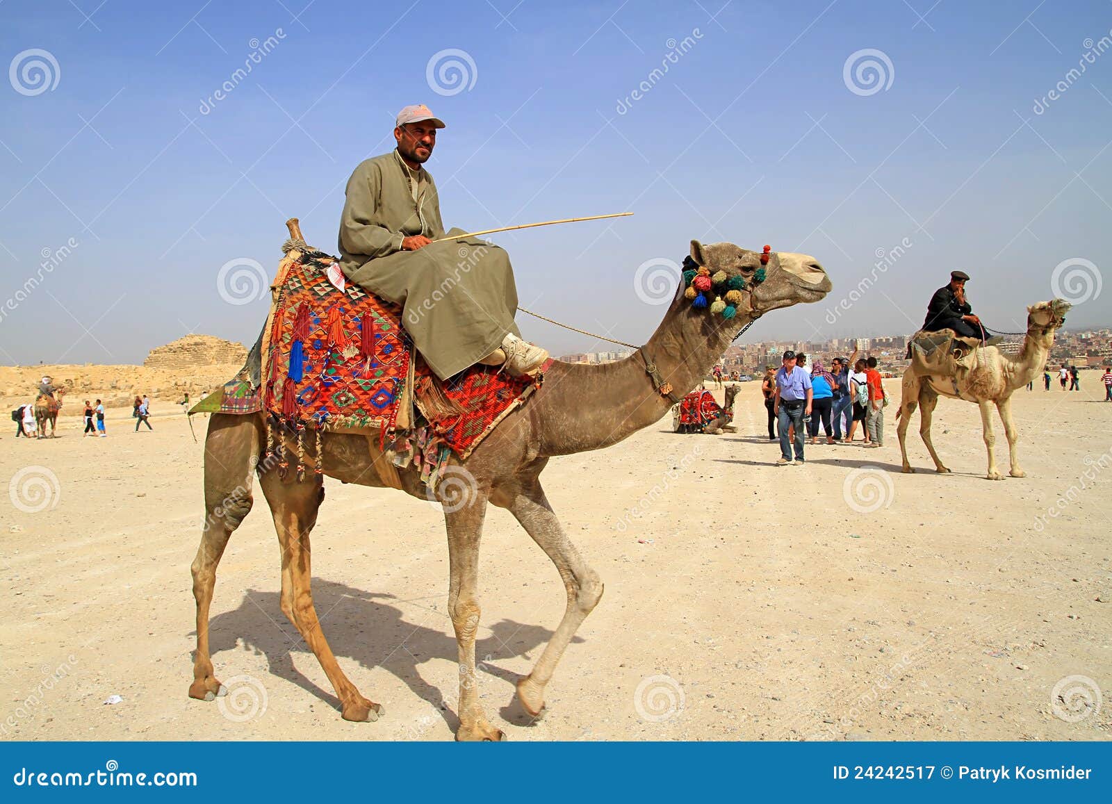 Egyptian Camel And Horse Riders Circle The Base Of The Pyramid Of Khufu ...