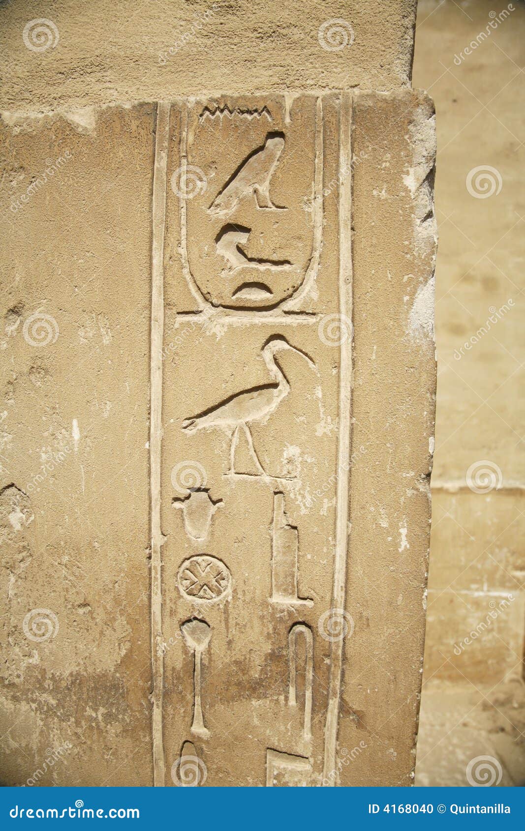 Egyptian hieroglyphic stock photo. Image of tomb, bird - 4168040