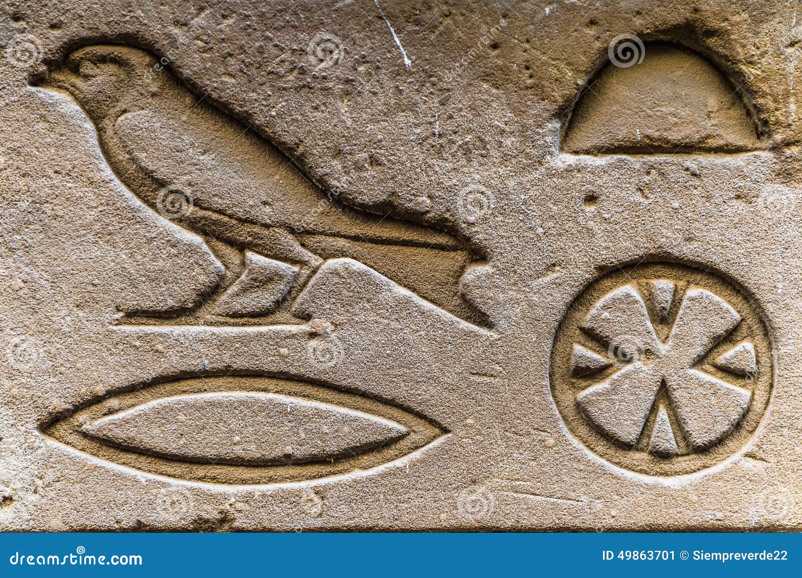 Egyptian Hieroglyphics Quail