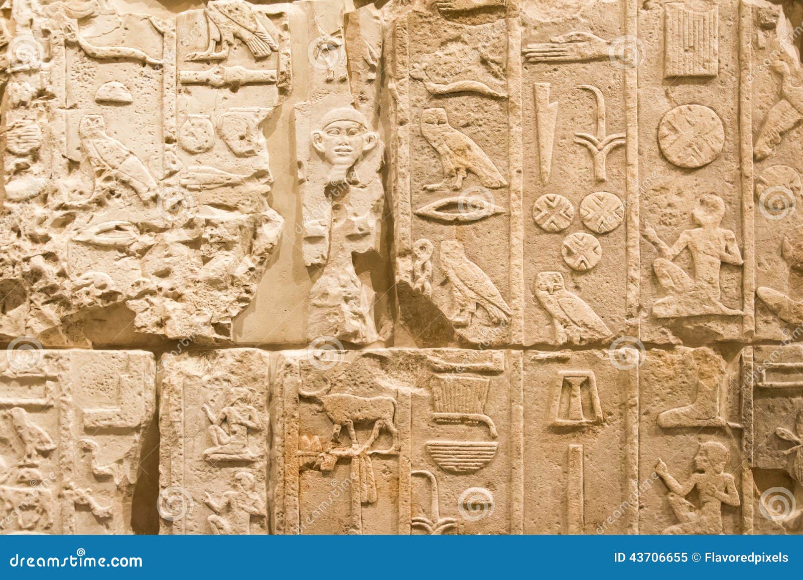 Egyptian hieroglyphs stock image. Image of eyes, bird - 43706655