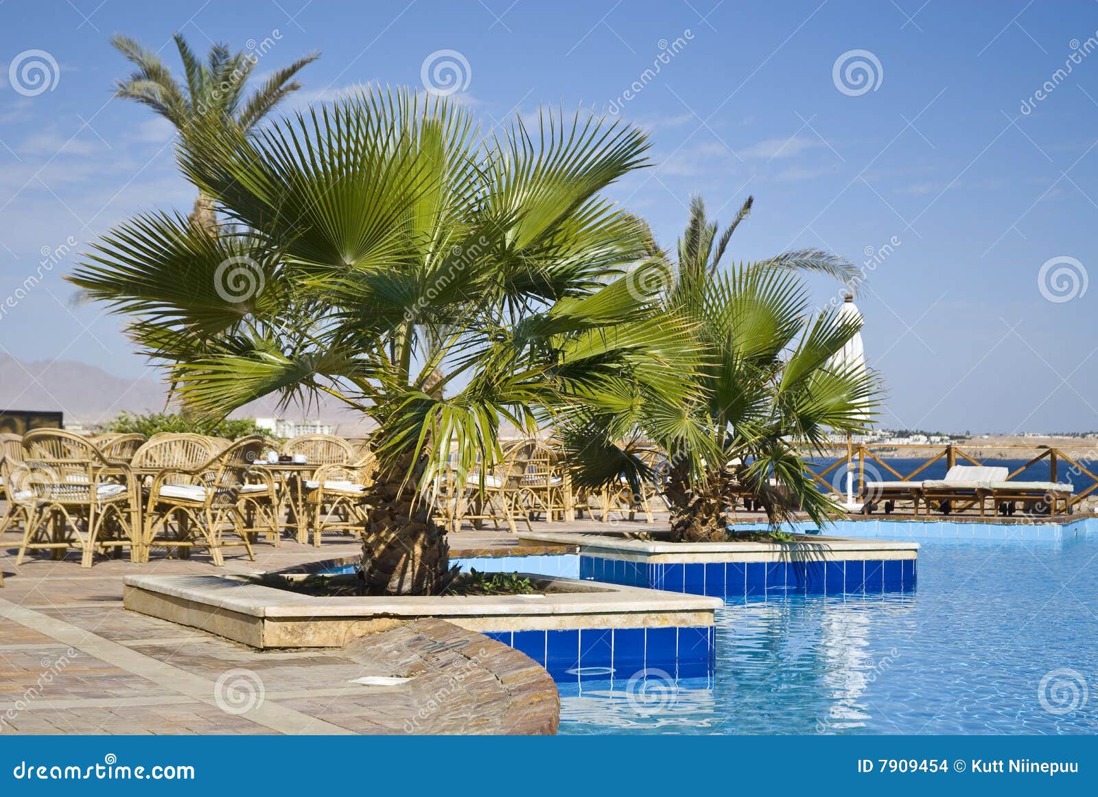 Egyptian Hotel Poolside stock photo. Image of destination - 7909454