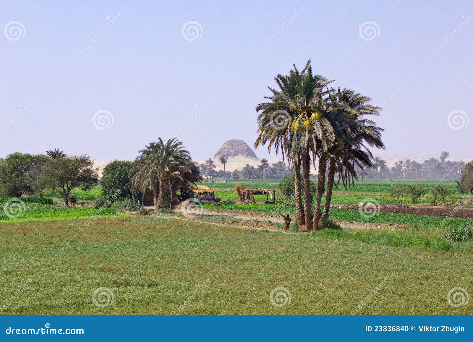 Egyptian landscape stock photo. Image of arabic, africa - 23836840