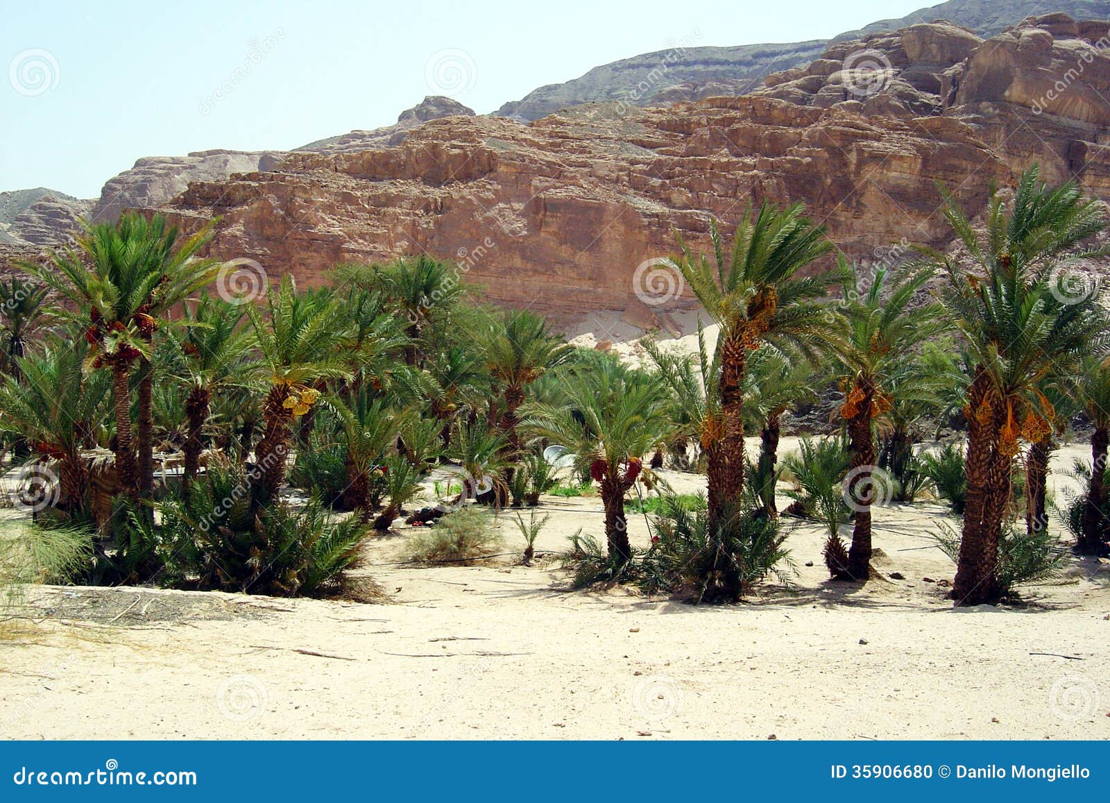 Egyptian Oasis Stock Photo - Image: 35906680