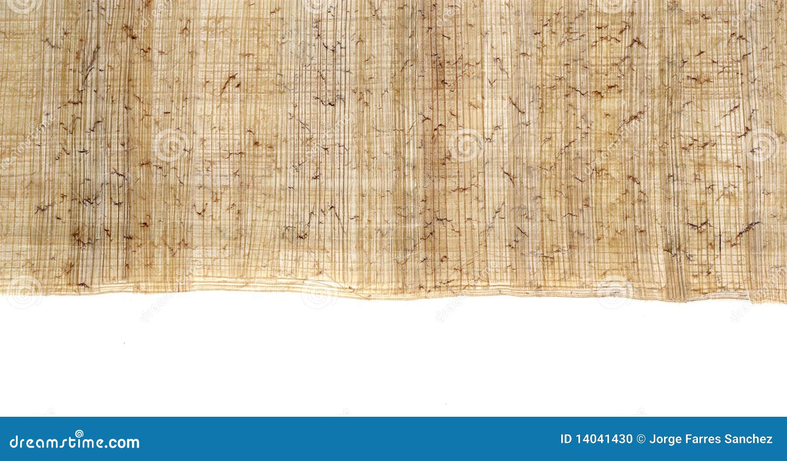 Egyptian papyrus 1 stock photo. Image of paper, fiber - 14041430