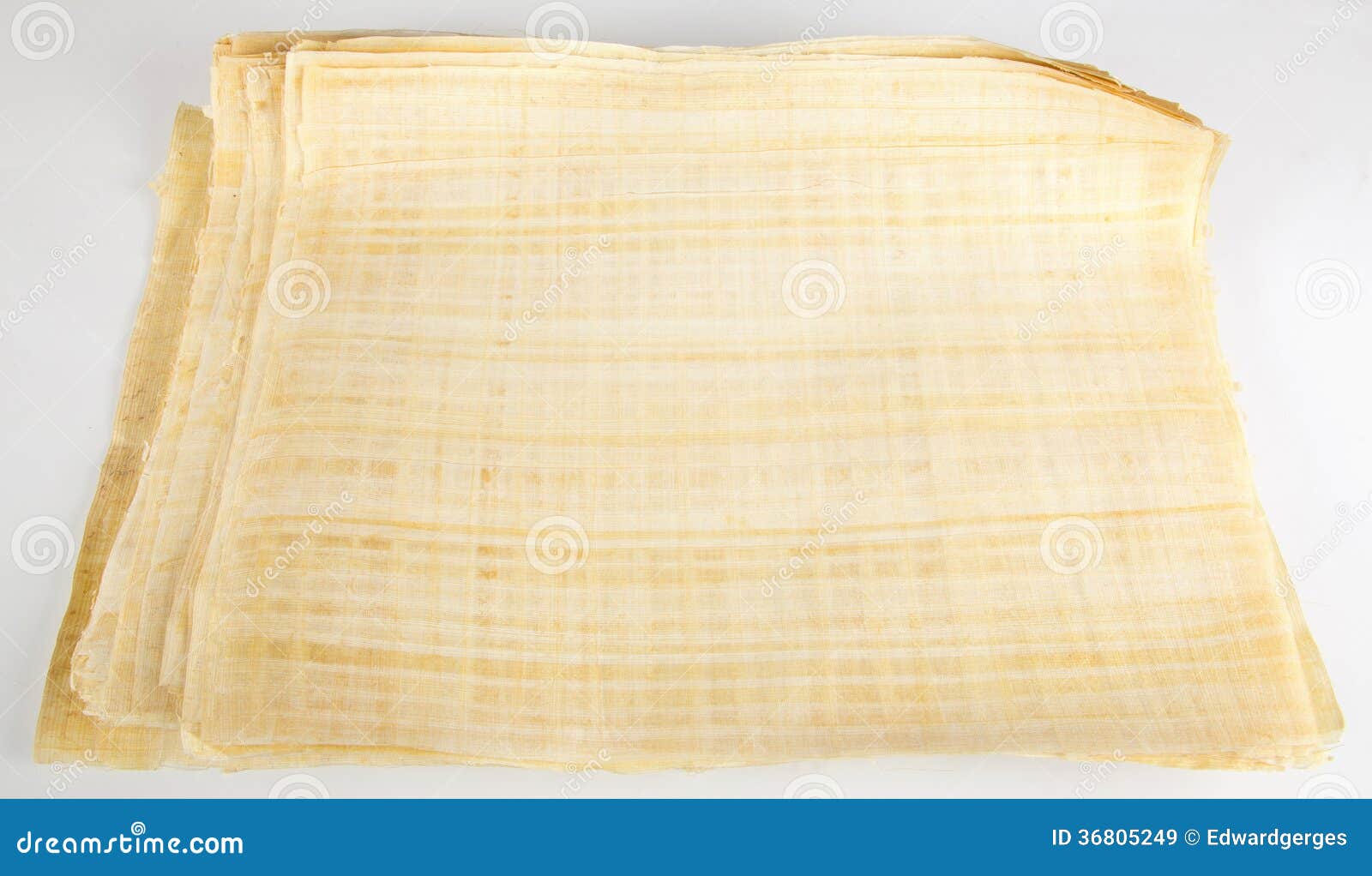 Egyptian Papyrus Advertising Space Stock Image - Image of natural ...