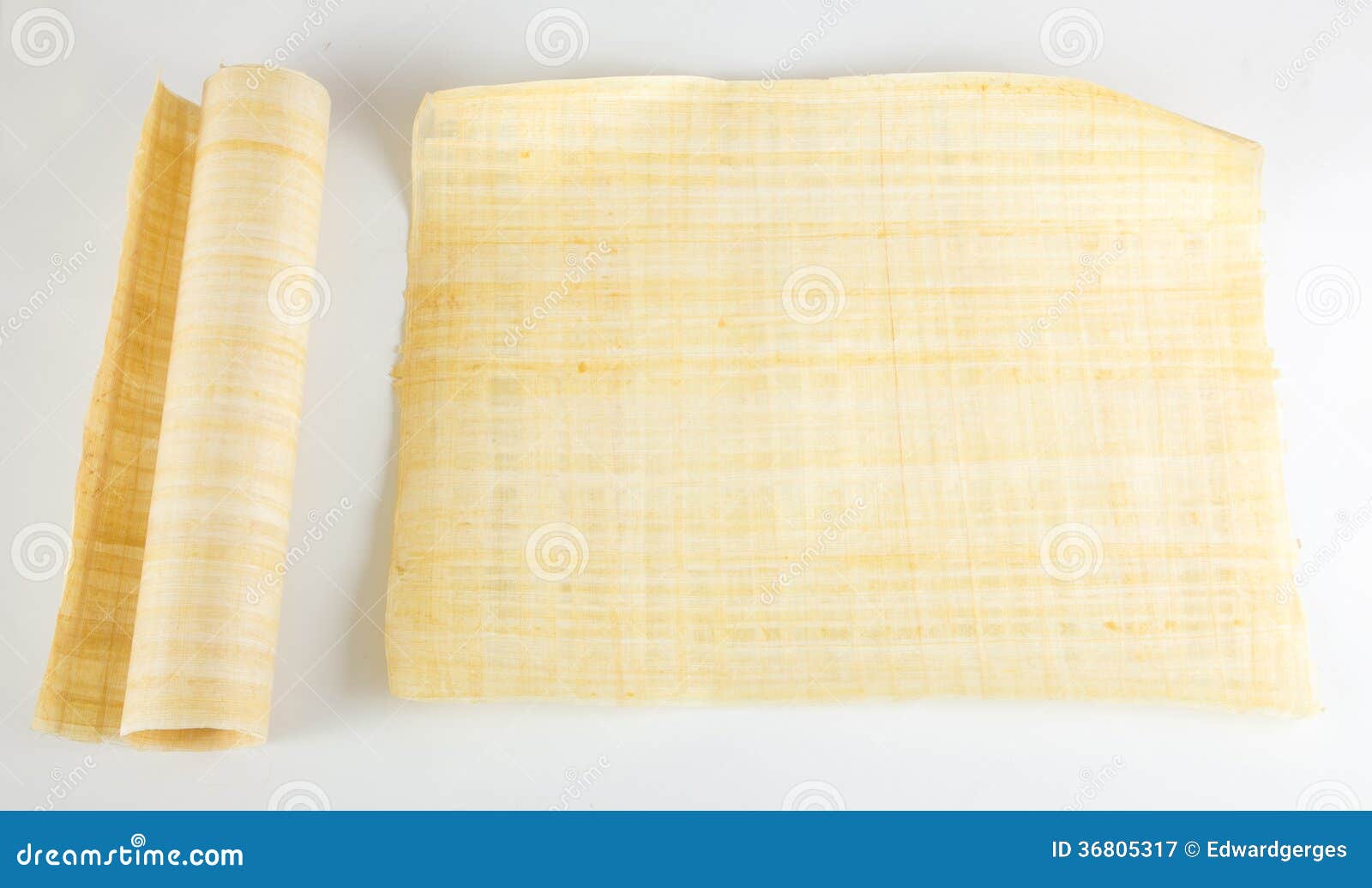 Egyptian Papyrus Advertising Space Stock Image - Image of natural ...