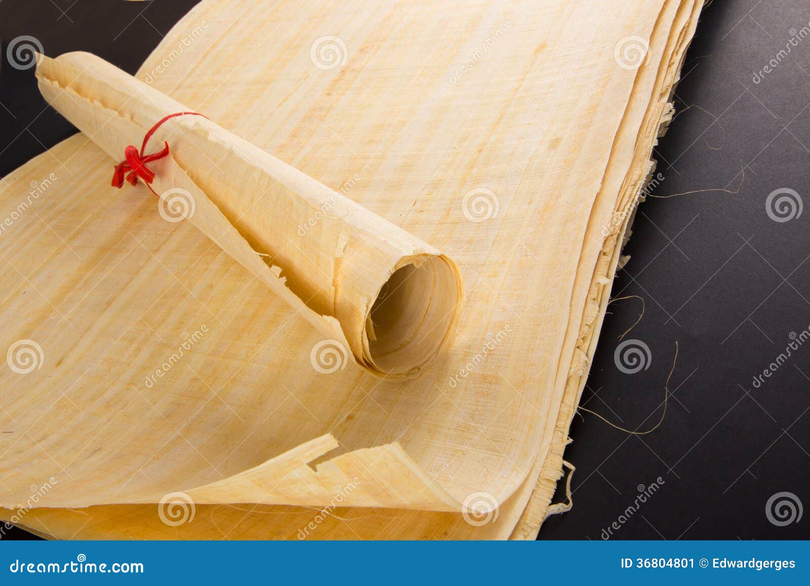 Egyptian papyrus stock image. Image of papyrus, objects - 36804801