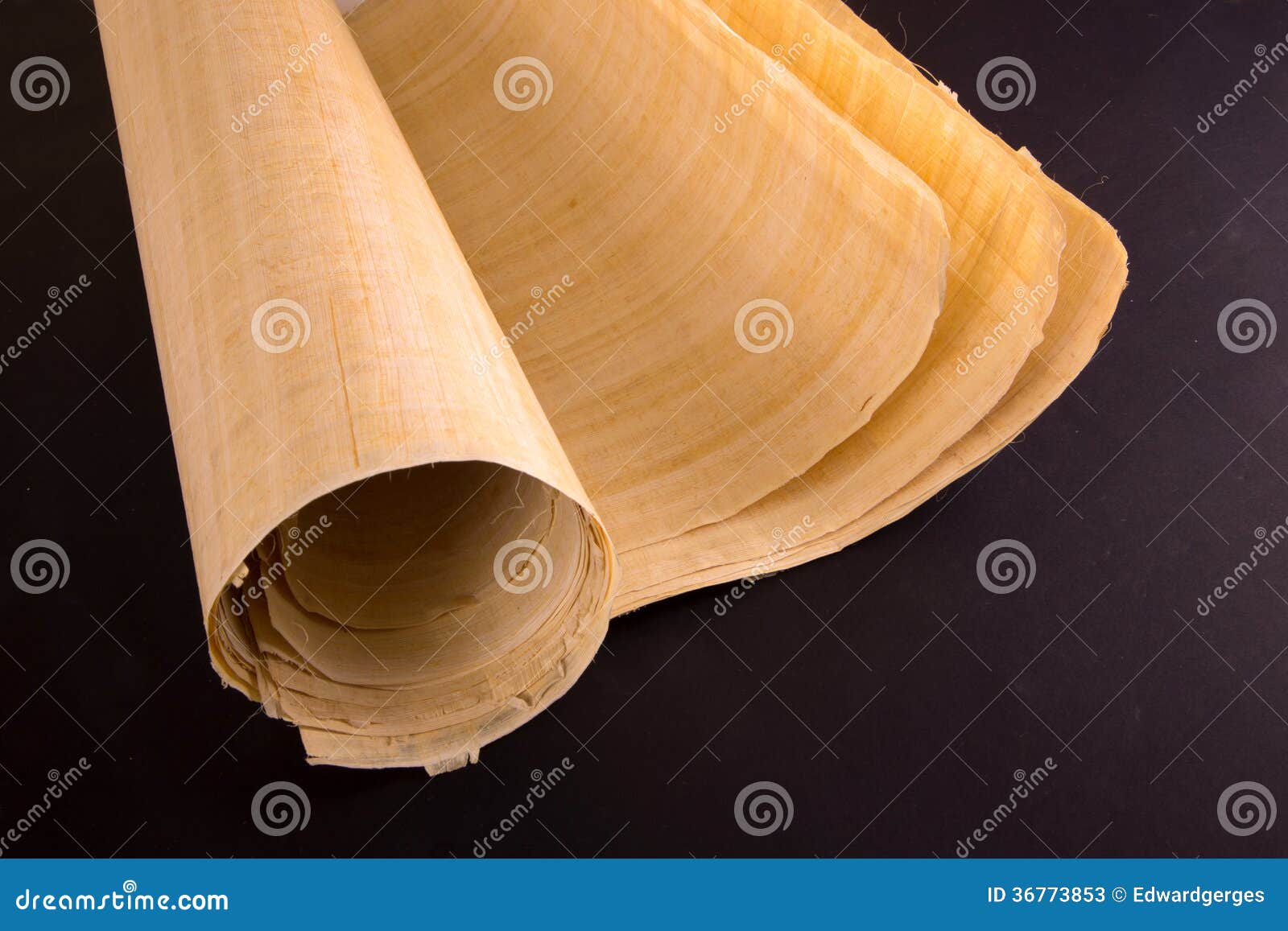 Egyptian papyrus roll stock image. Image of culture, parchment - 36773853