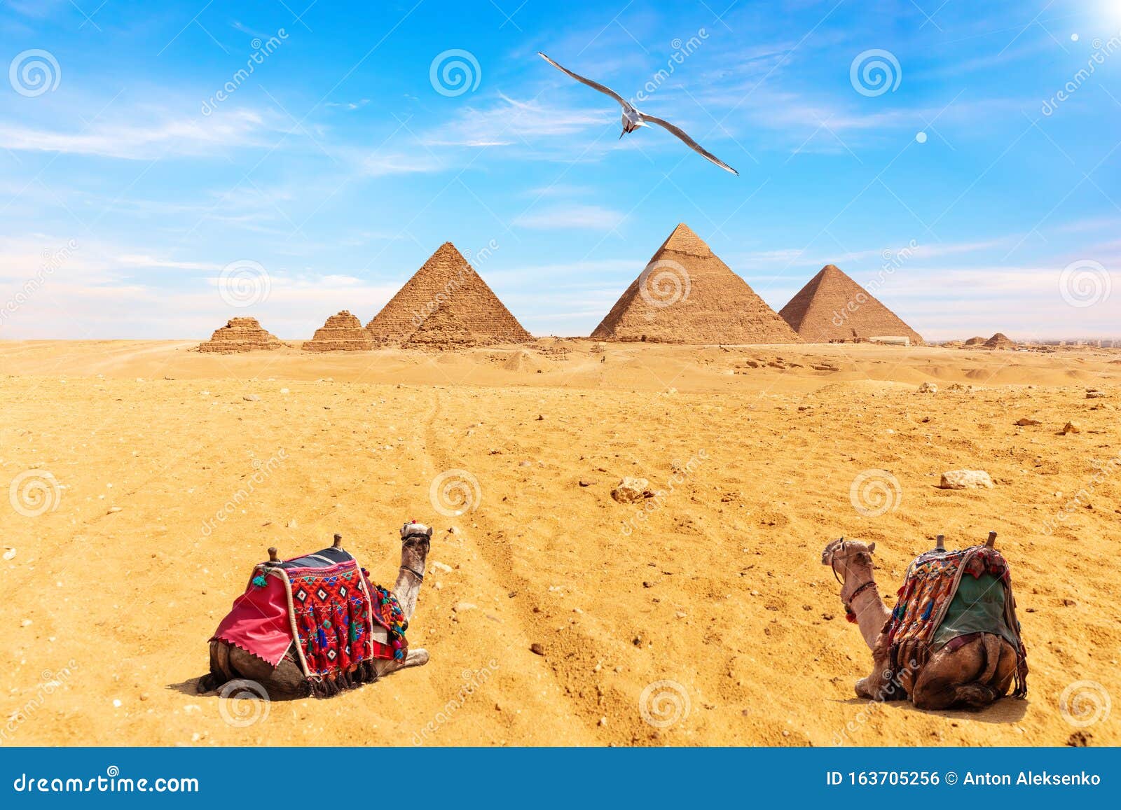 The Egyptian Pyramids Of Giza On The Background Of Cairo. Miracle Of ...