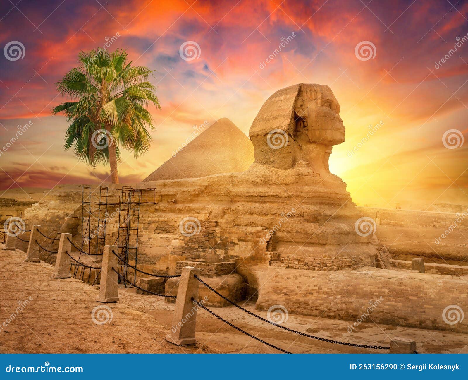 Egyptian sphinx in desert stock photo. Image of famous - 263156290