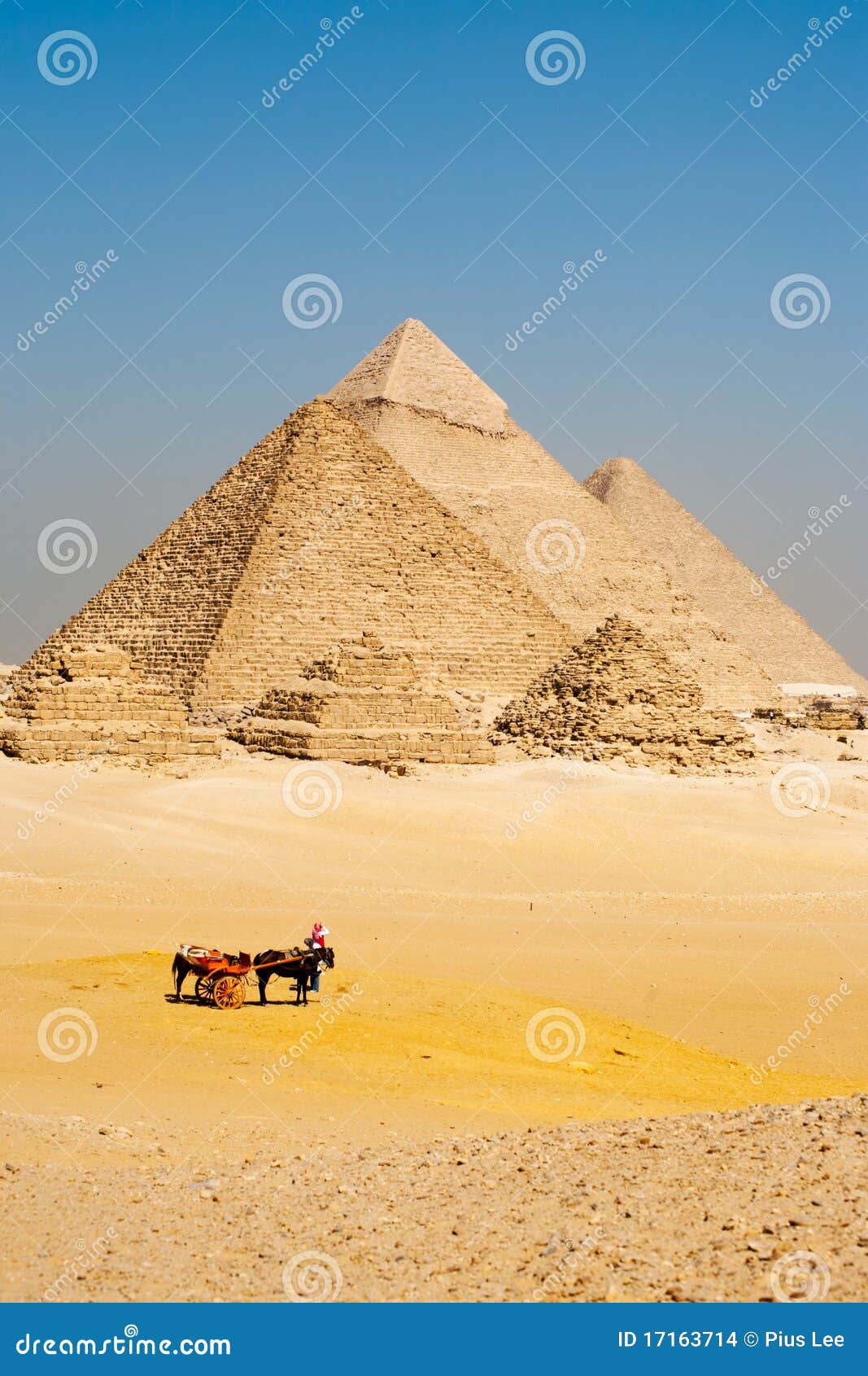 Egyptian Tourists Pyramids Giza Stock Photo - Image of queen, desert ...