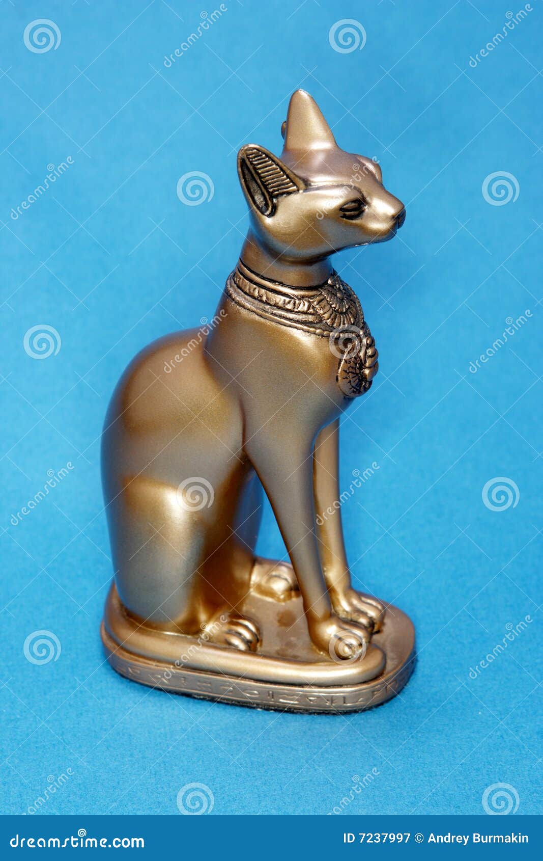 Egyptien de chat image stock. Image du fond, animal, bien - 7237997