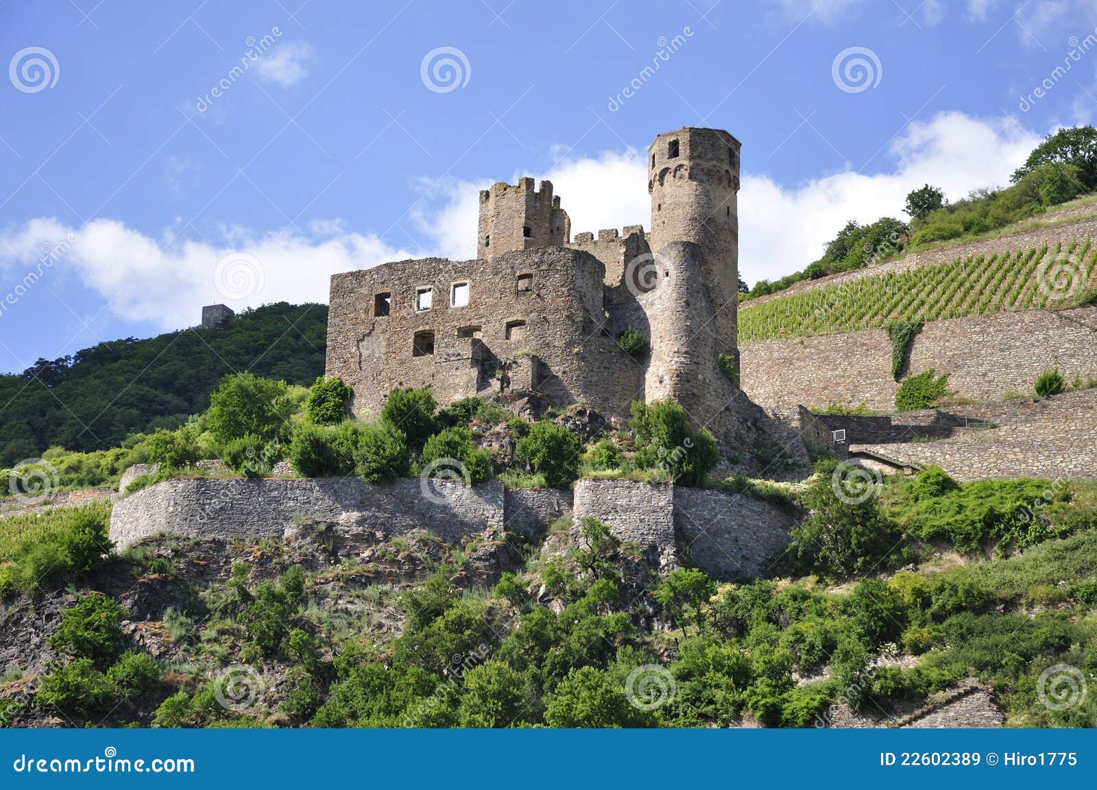 Ehrenfels Castle stock image. Image of cultural, europe - 22602389