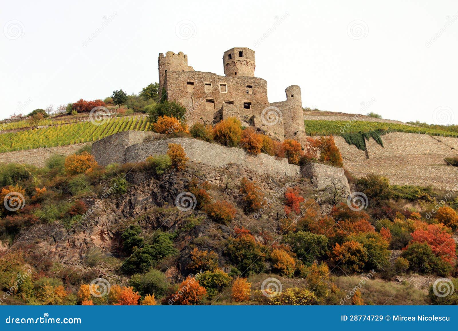 Ehrenfels Castle stock image. Image of architecture, ages - 28774729