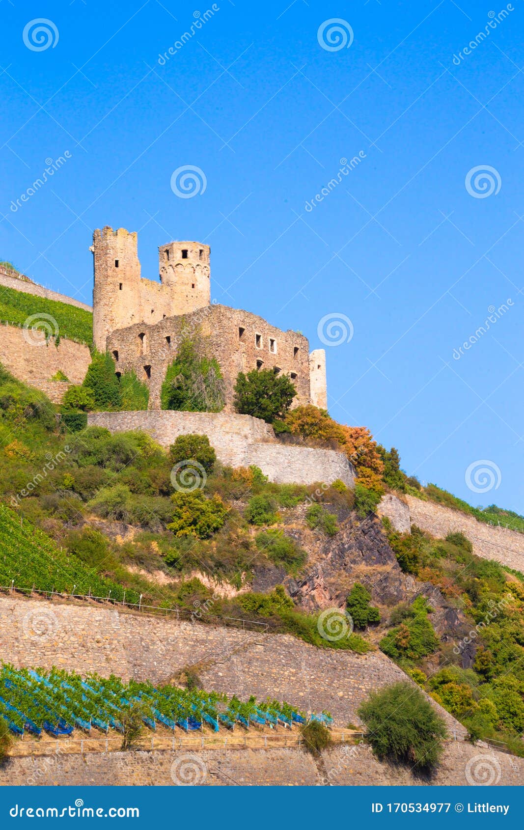 Ehrenfels Castle Along the Rhine River in Germany Stock Image - Image ...