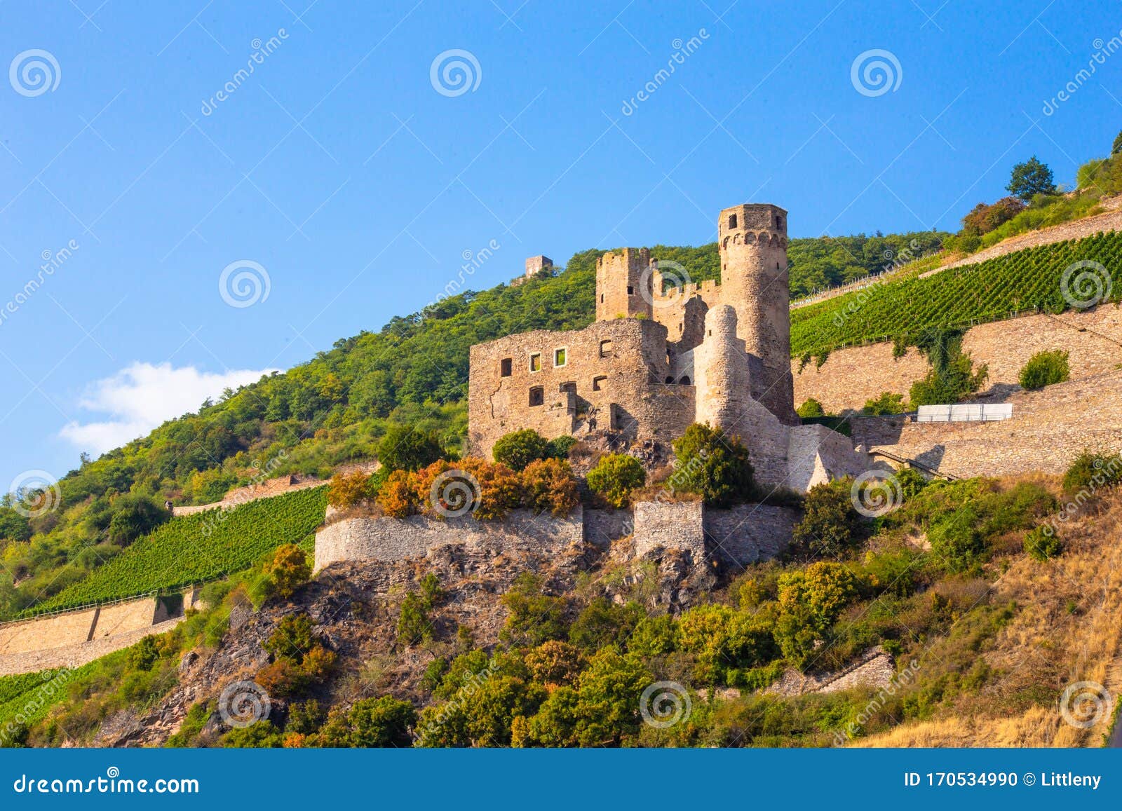 Ehrenfels Castle Along the Rhine River in Germany Stock Photo - Image ...