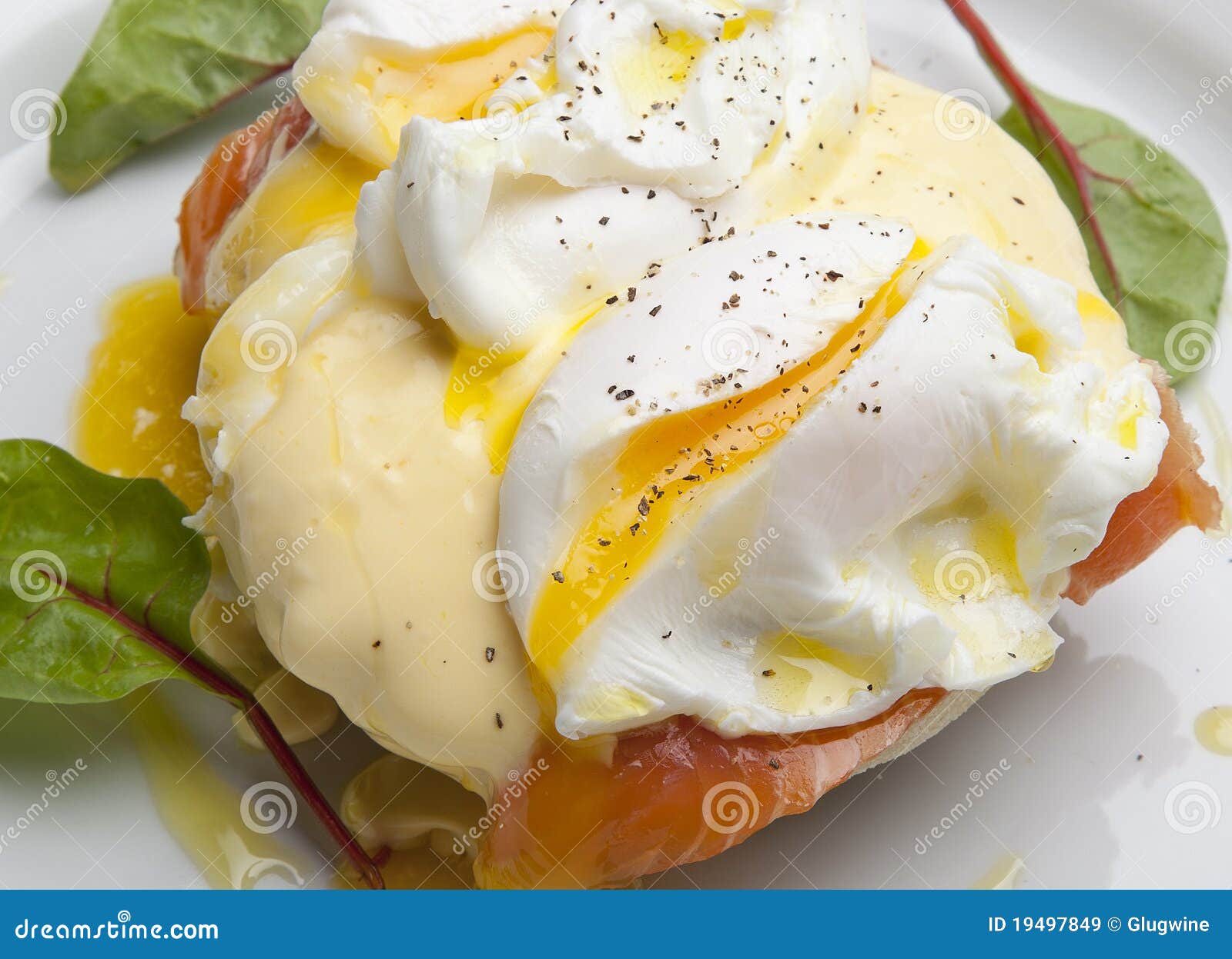 Ei Benedict stockbild. Bild von lachse, niederländisch - 19497849