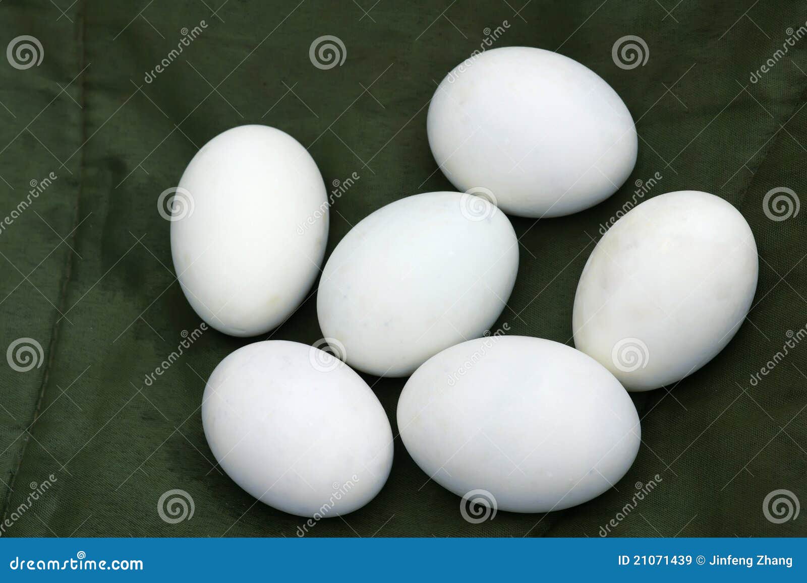 Ei der Ente stockbild. Bild von gans, ente, elliptisch - 21071439