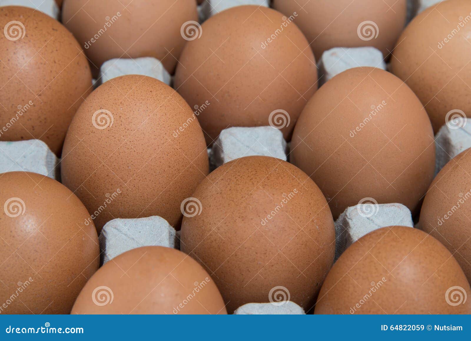 Ei, Kippenei stock afbeelding. Image of voedsel, leven - 64822059