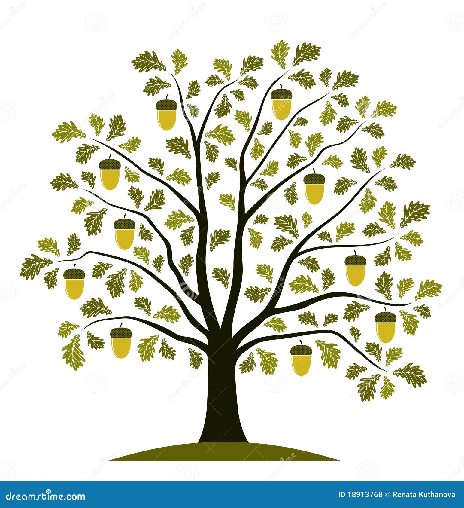 Eichenbaum vektor abbildung. Illustration von wald, eiche - 18913768
