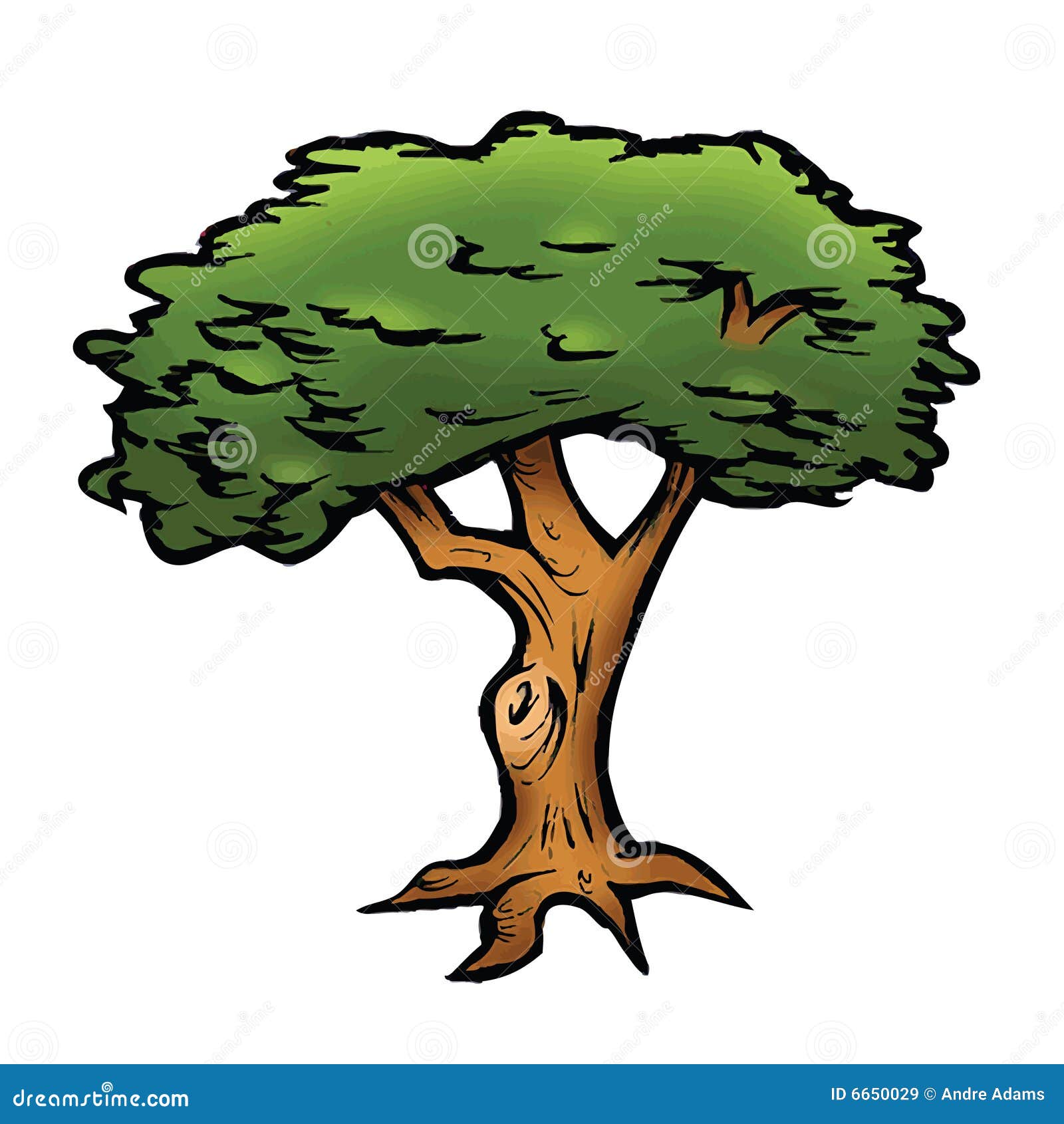 Eichenbaum vektor abbildung. Illustration von blätter - 6650029