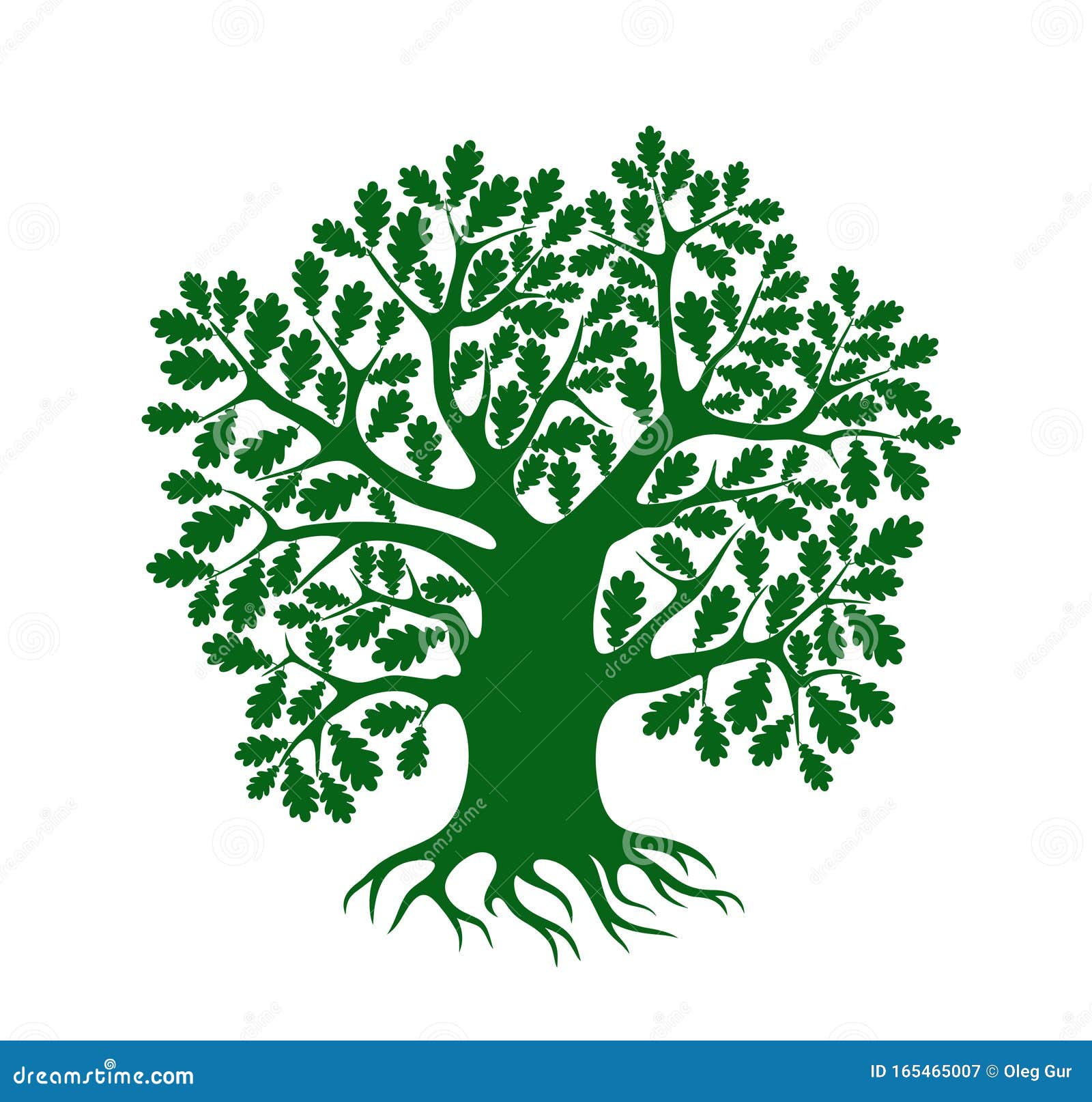 Eichenbaumlogo Eichenbaum Auf Weißem Grund Vektor Abbildung ...