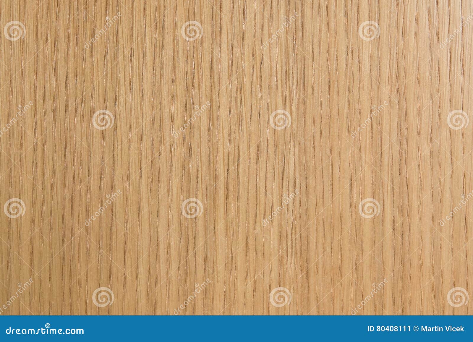 Eichenfurnier-blattbeschaffenheits-Hintergrunddetail Stockbild - Bild ...