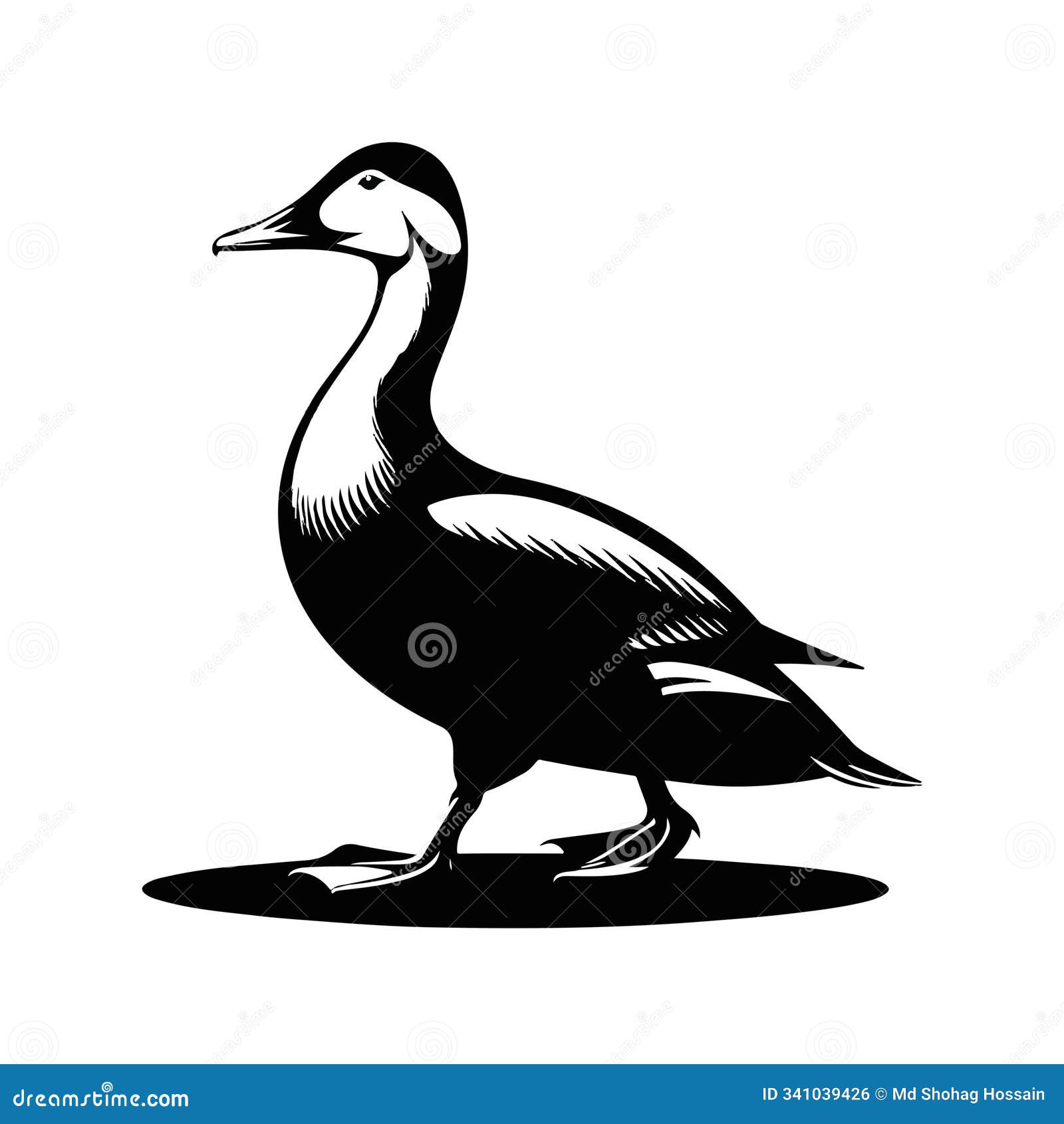 Eider Vector Logo | CartoonDealer.com #341039431
