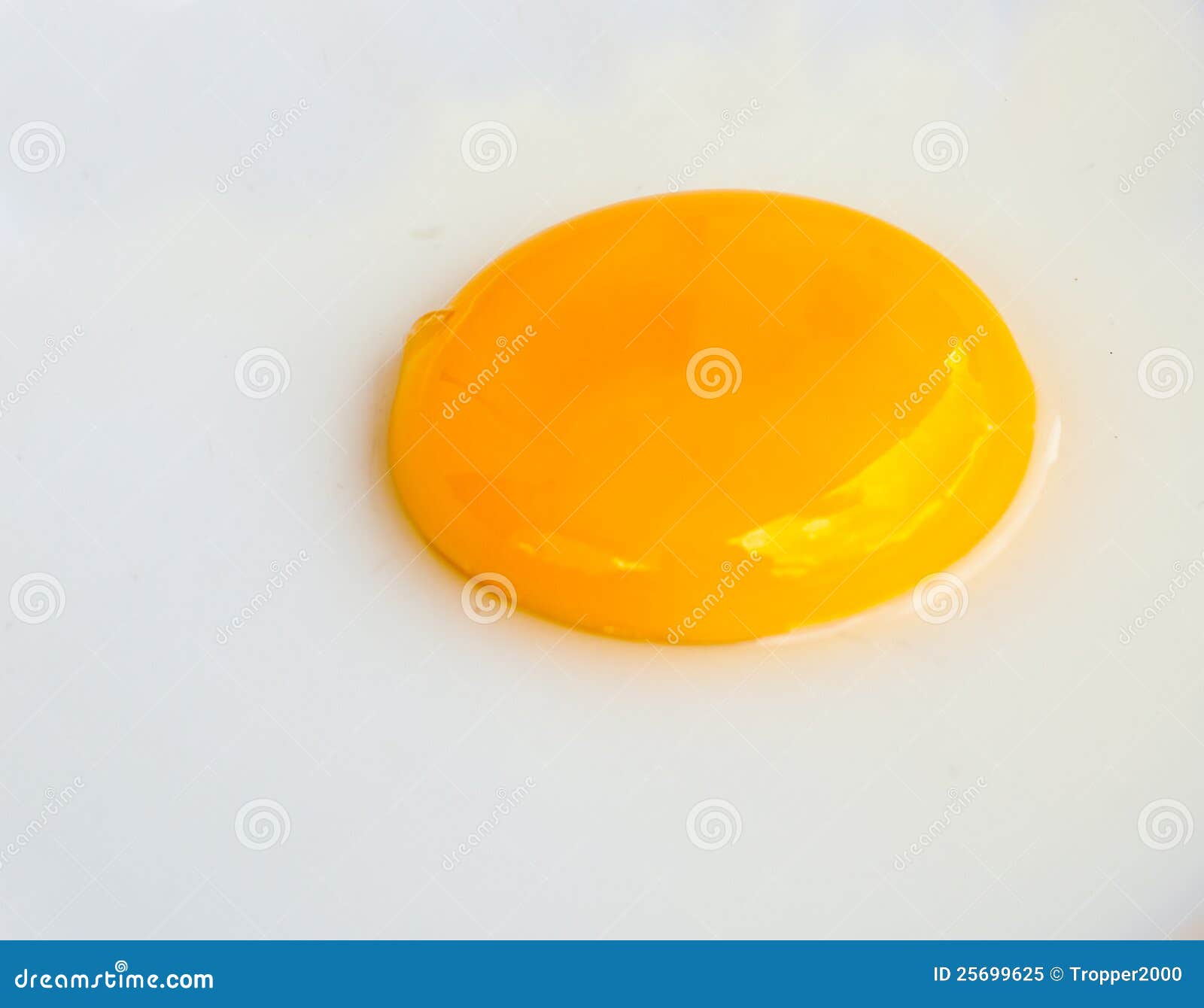 Eidotter. stockbild. Bild von nave, protein, huhn, nahaufnahme - 25699625