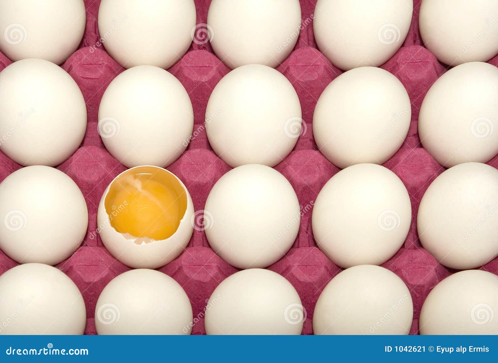 Eier Bild. Bild: 1042621