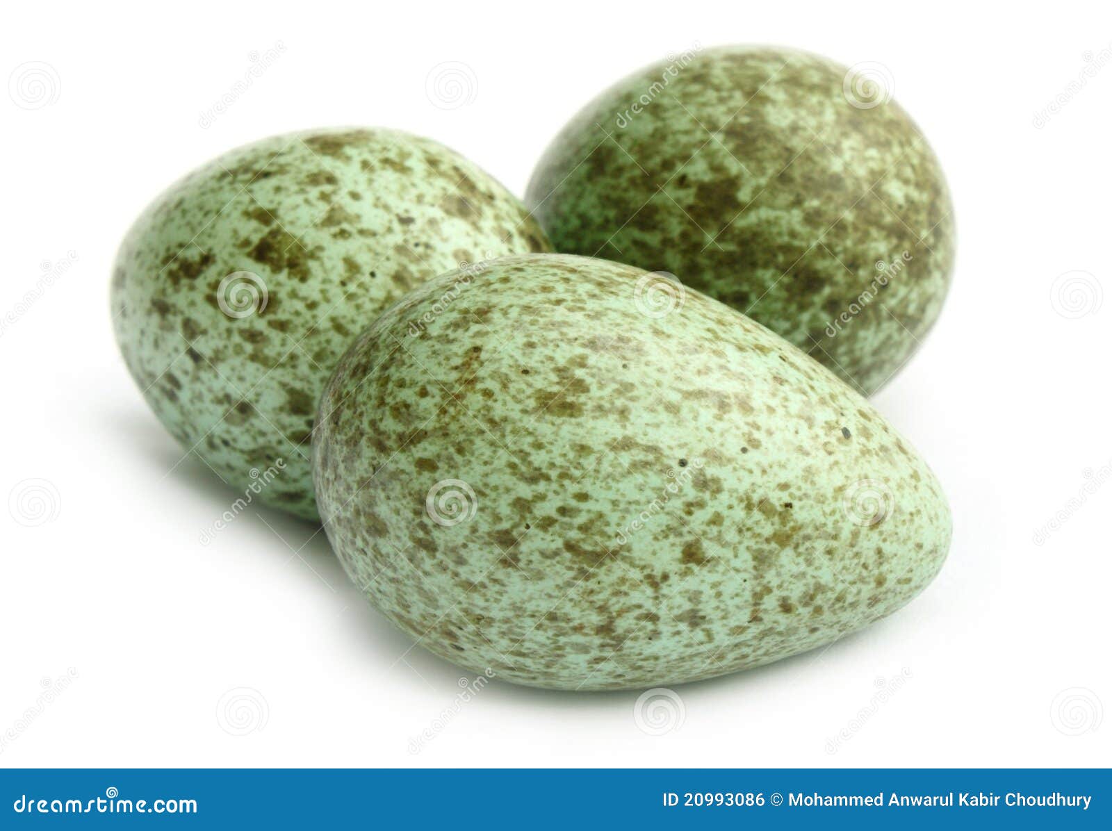 Eieren van kraai stock foto. Image of begrip, achtergrond - 20993086