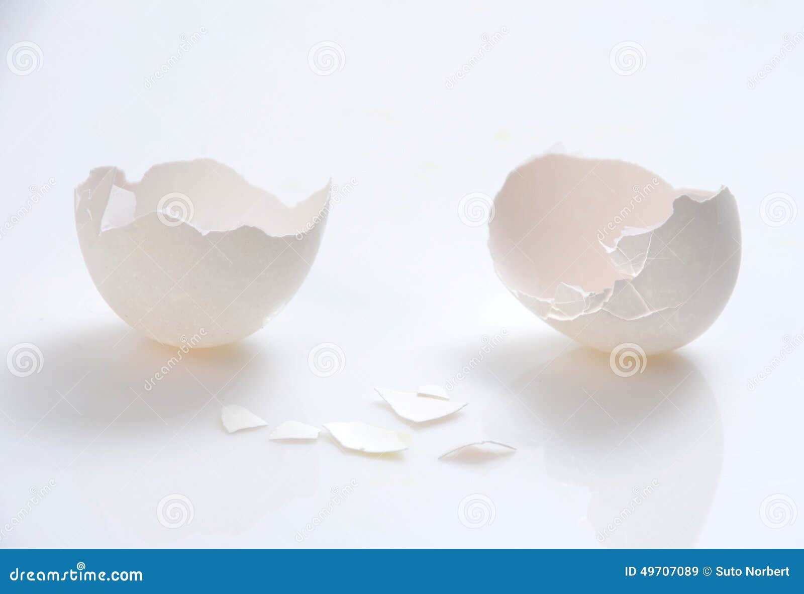 Eierschale stockbild. Bild von einzeln, sprung, geburt - 49707089