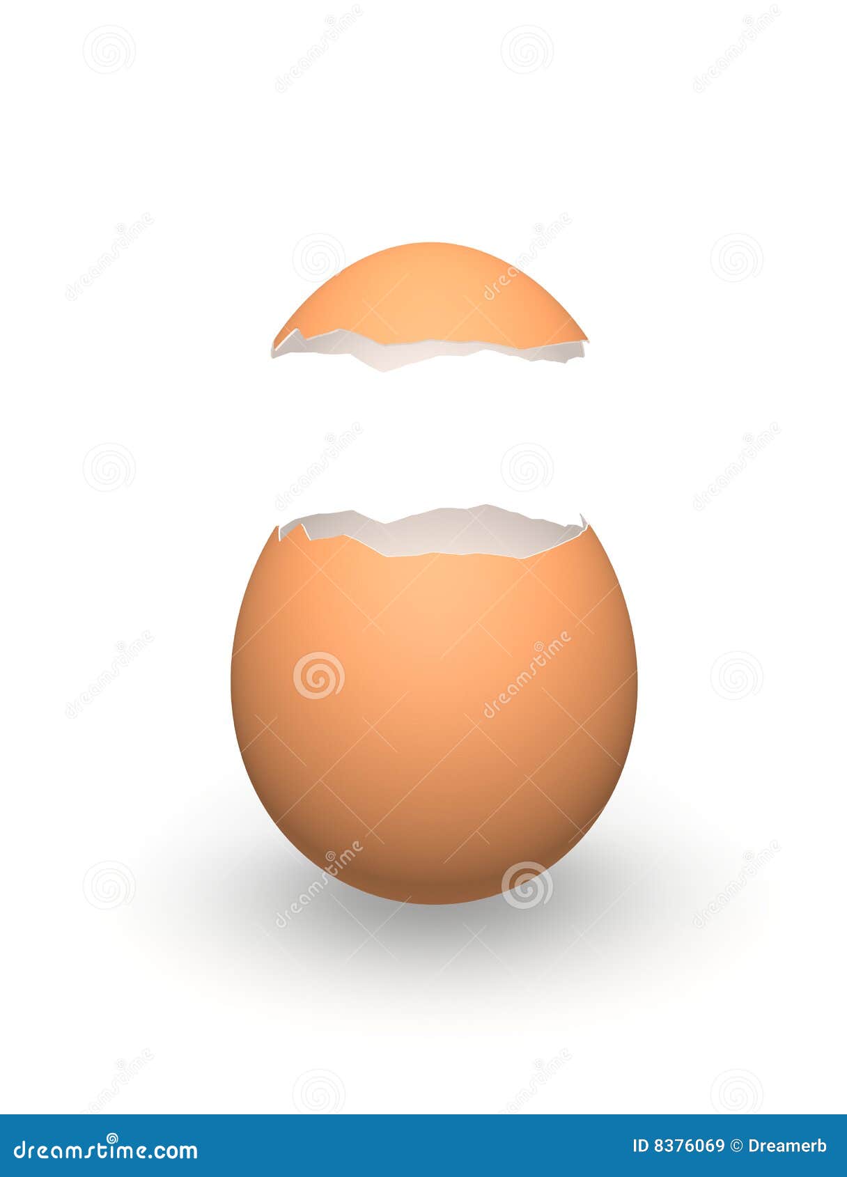 Eierschale stock abbildung. Illustration von embryo, clips - 8376069