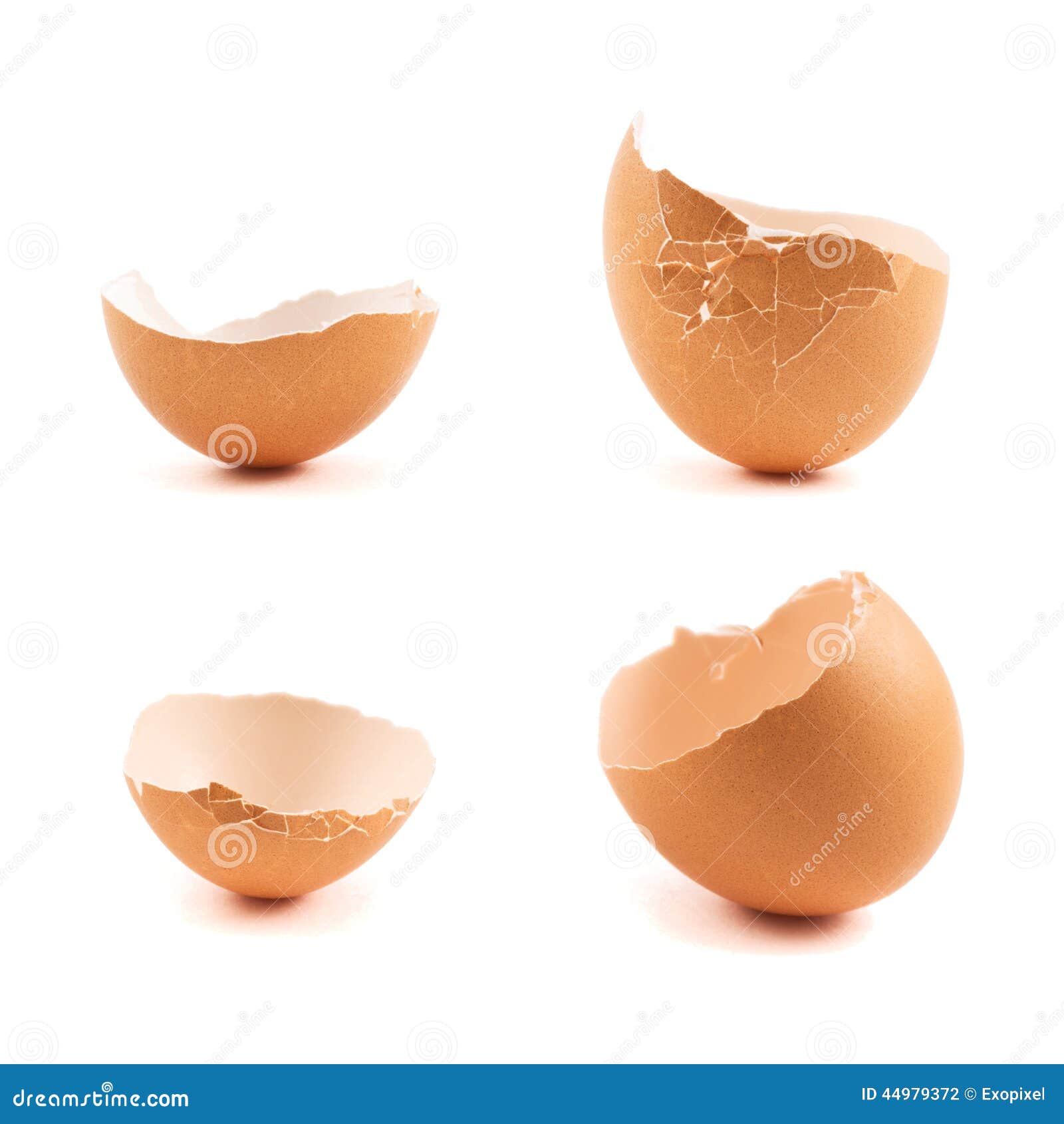 Eierschale Geknackt in Zwei Teilen Stockfoto - Bild von tier ...