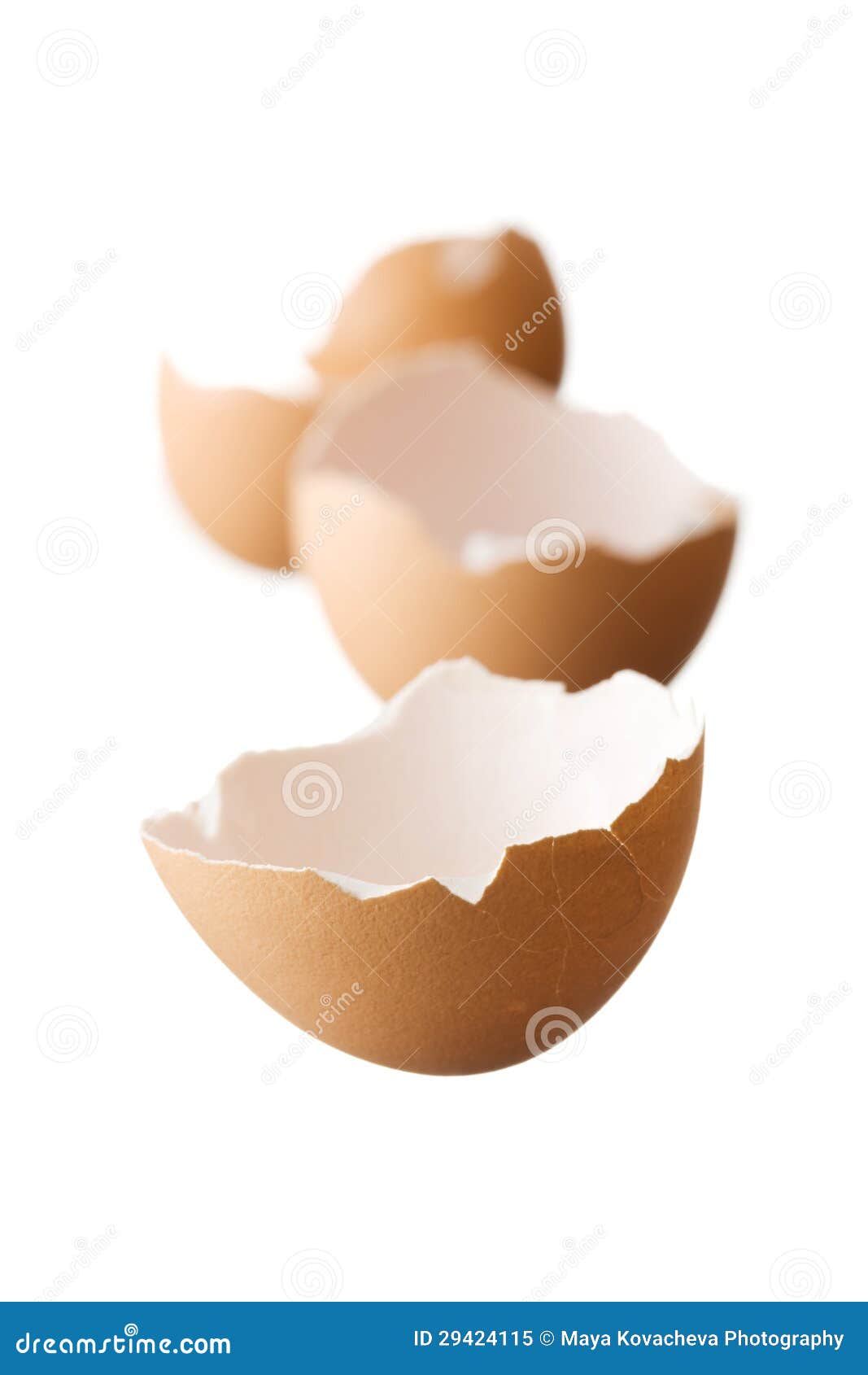 Eierschale Getrennt Auf Weißem Hintergrund Stockbild - Bild von ...