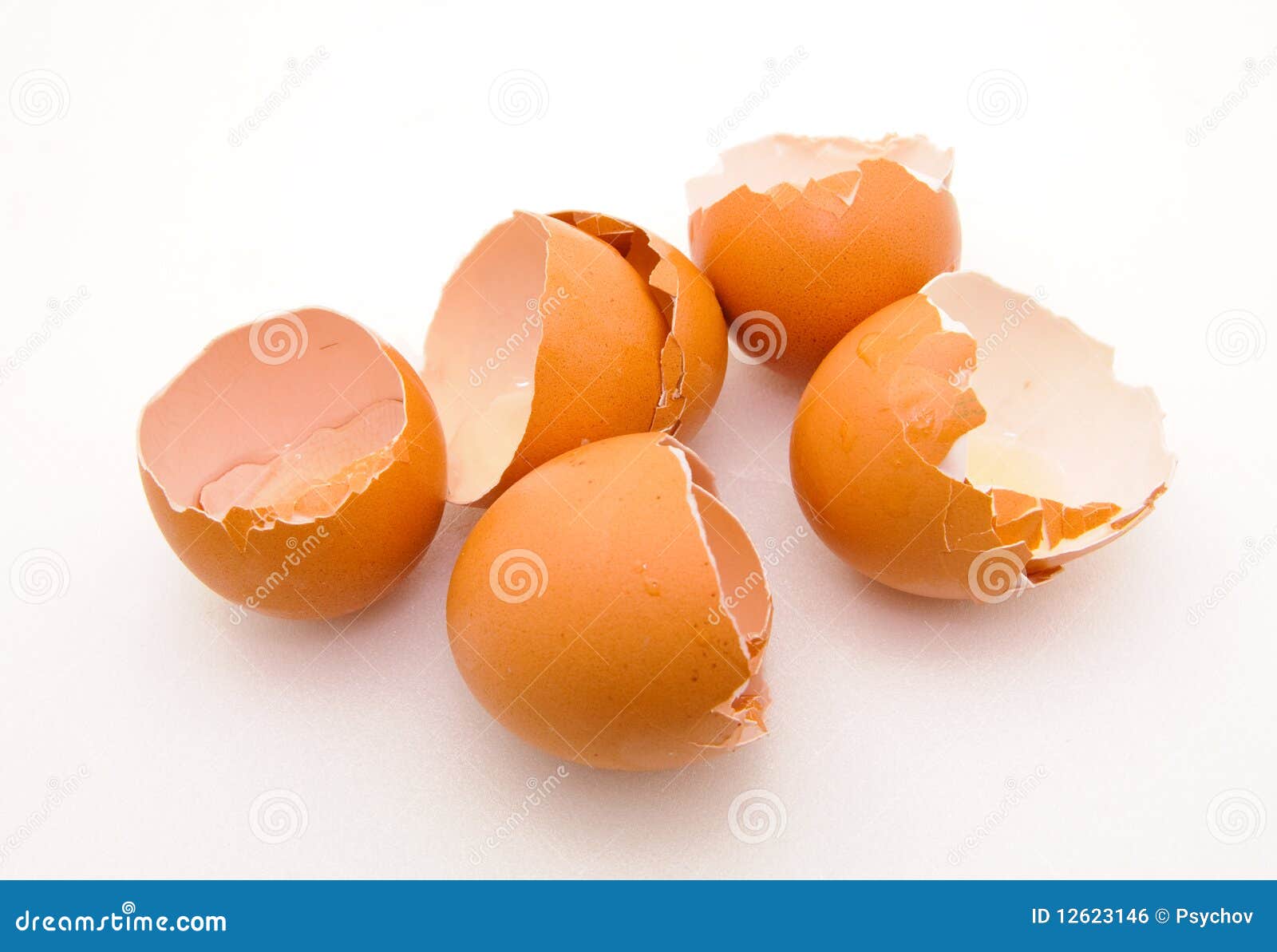 Eierschalen stockfoto. Bild von systemabsturz, tier, sprung - 12623146