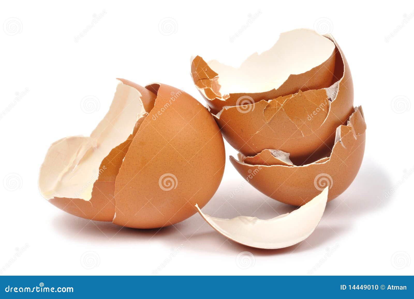 Eierschalen stock foto. Image of gebroken, achtergrond - 14449010