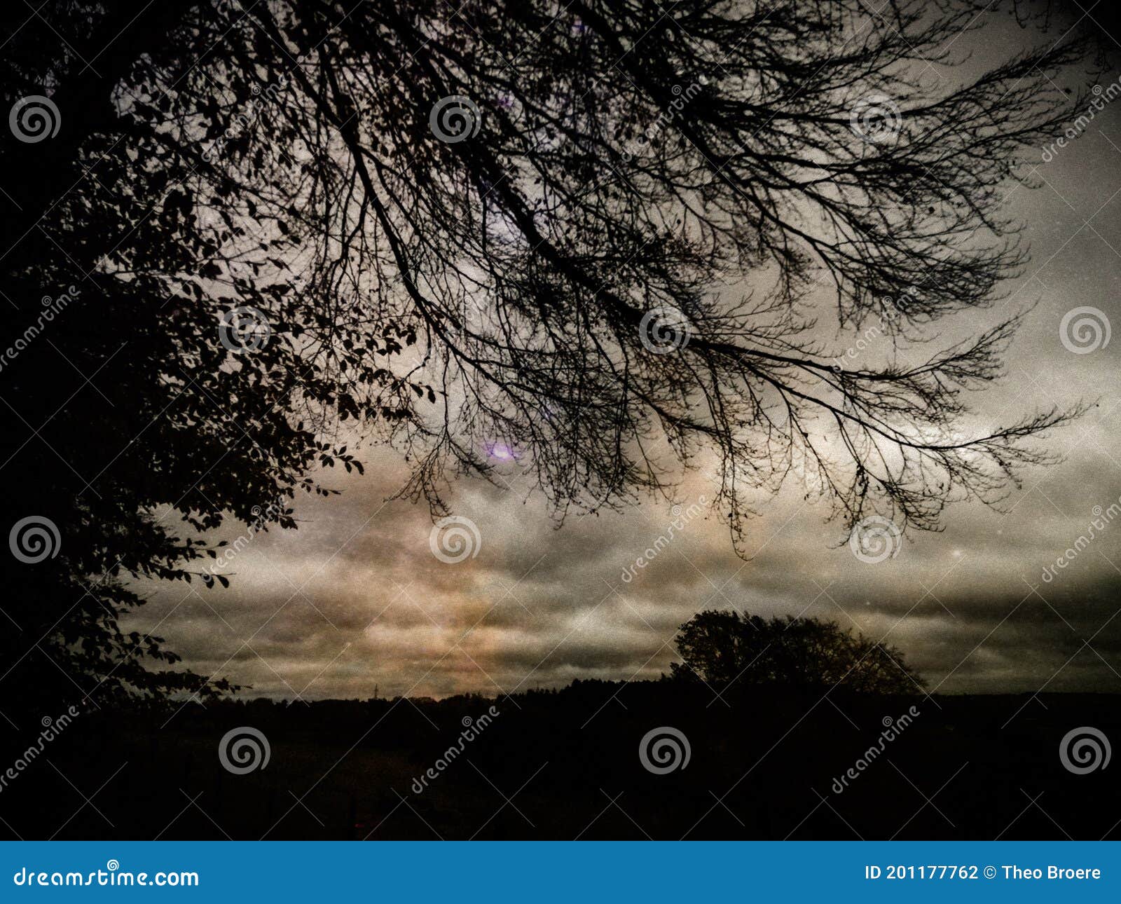 Eifel wilderness at night stock photo. Image of reflection - 201177762