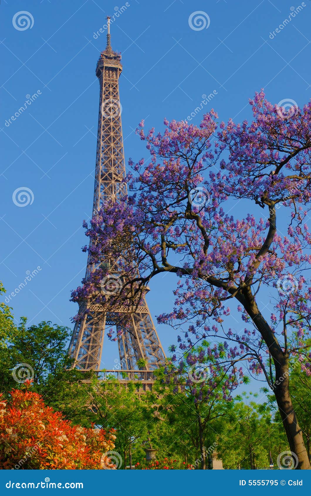 Eiffel Tower and Colored Trees Stock Image - Image of majestic ...
