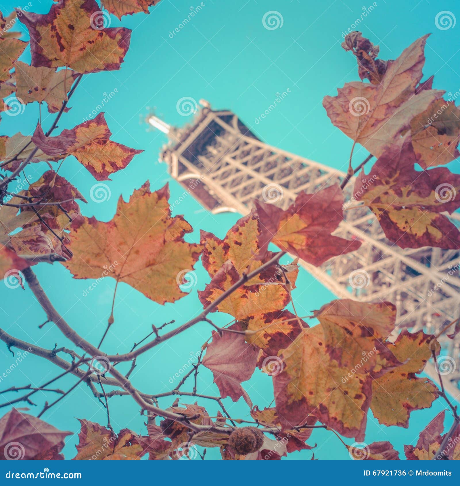 Eiffel Tower in the Fall stock photo. Image of eiffel - 67921736