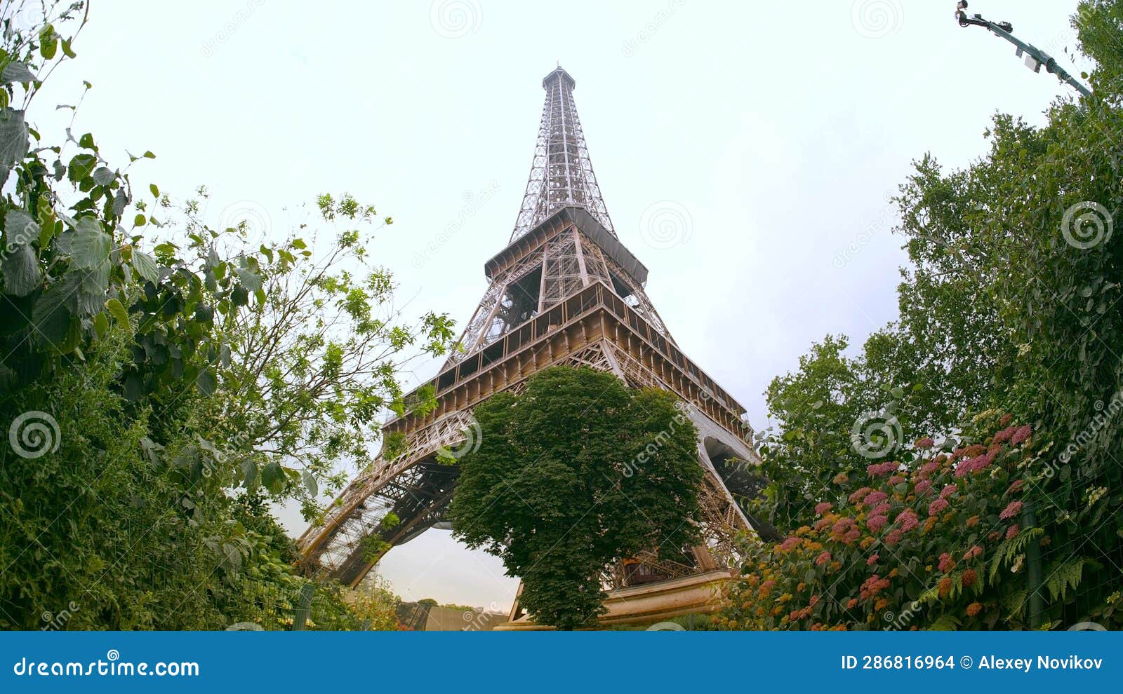 The Eiffel Tower and Green Tree Branches. Paris, France Stock Photo ...