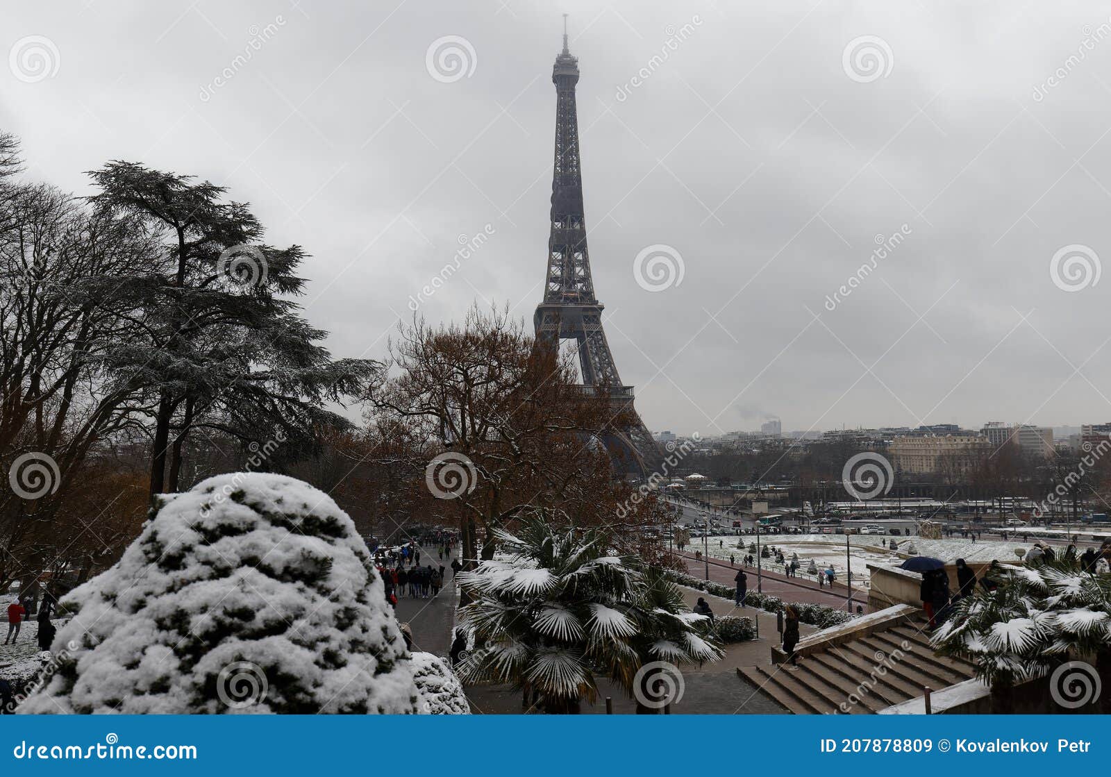 Eiffel Tower and Pine Tree Under the Snow in Winter - Paris Stock Image ...