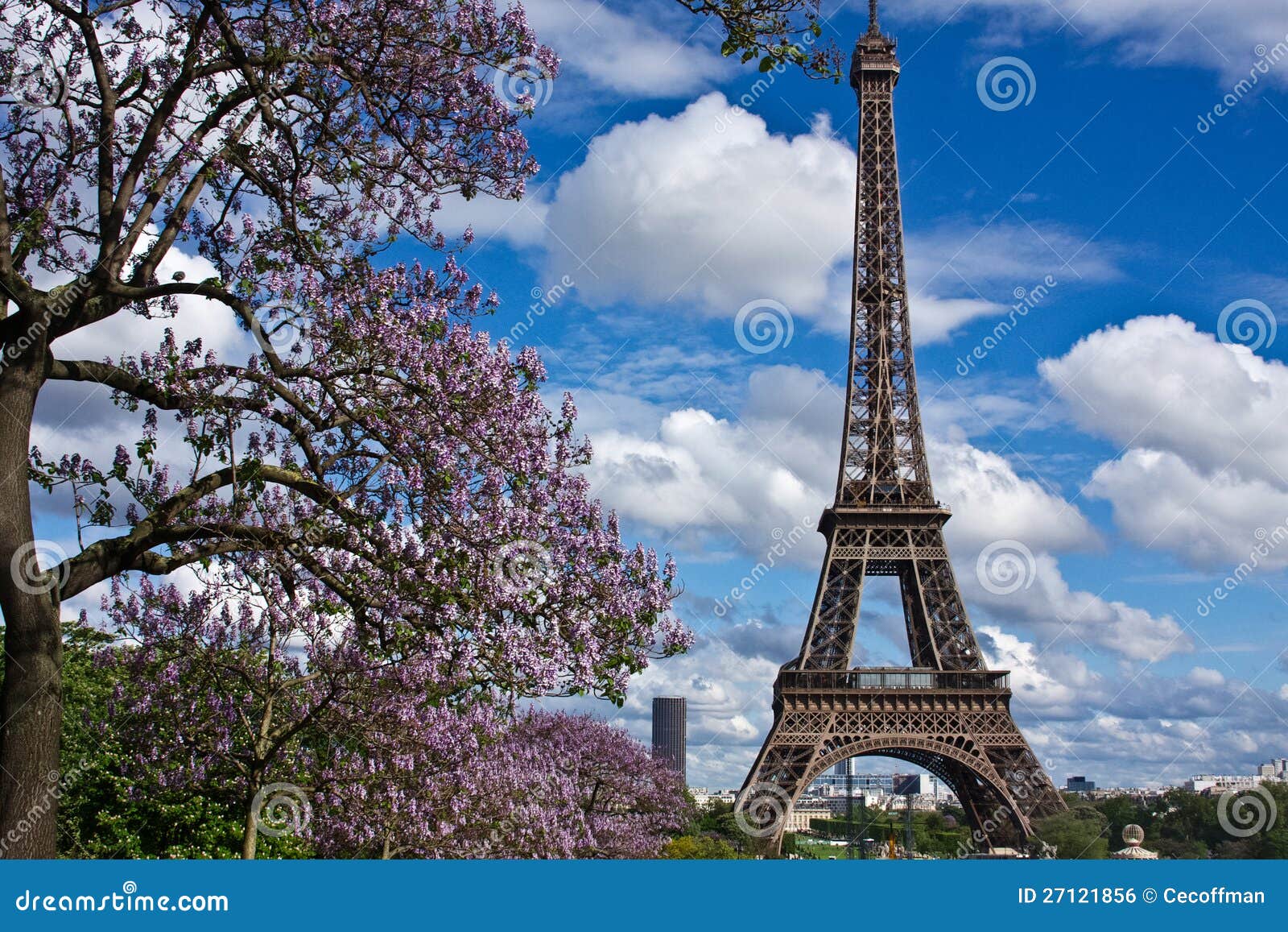 The Eiffel Tower in the Spring Stock Photo - Image of blooming, europe ...
