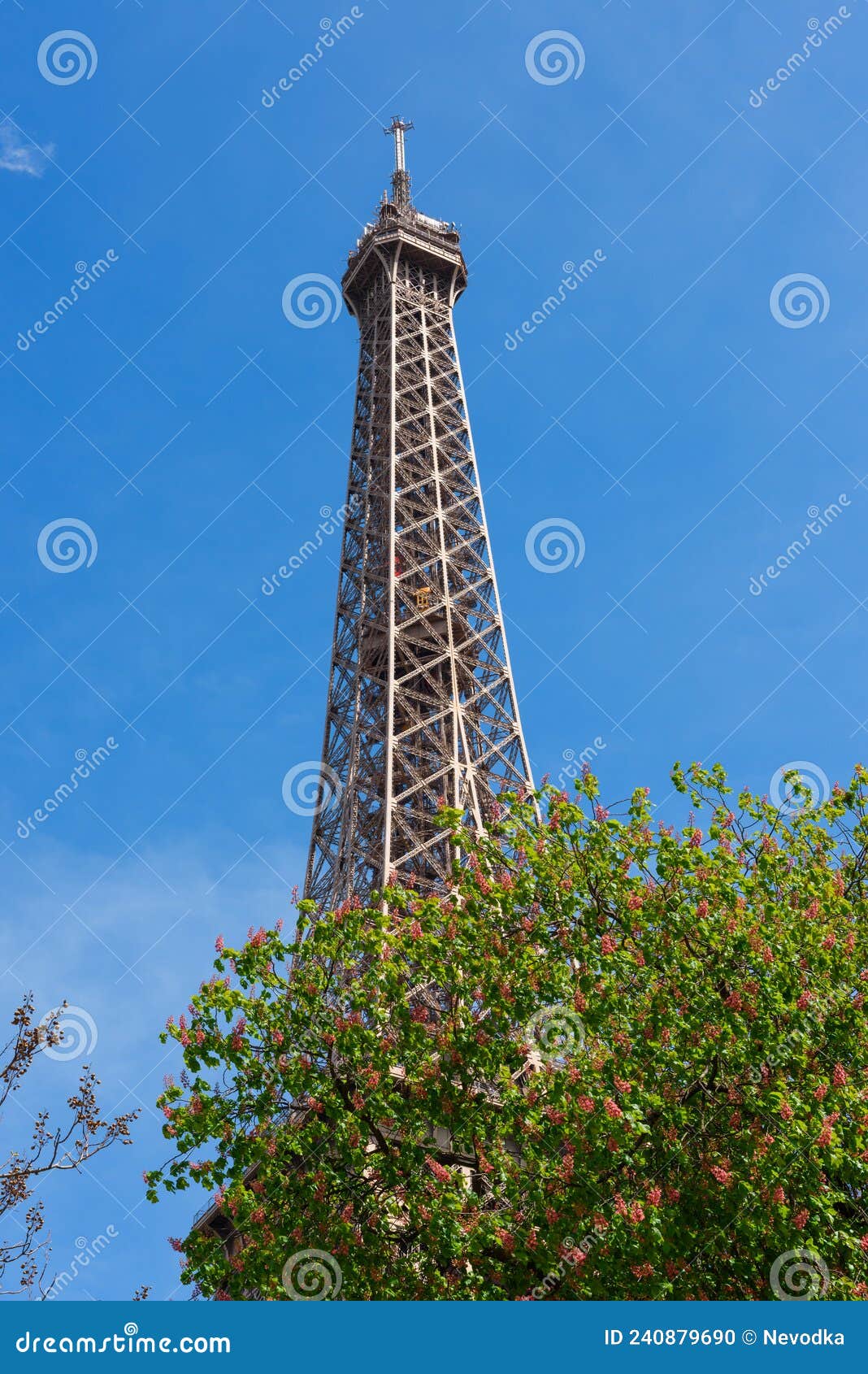 Eiffel Tower through a Spring Flowering Trees Stock Photo - Image of ... Eiffel Tower through a Spring Flowering Trees Stock Photo - Image of ...