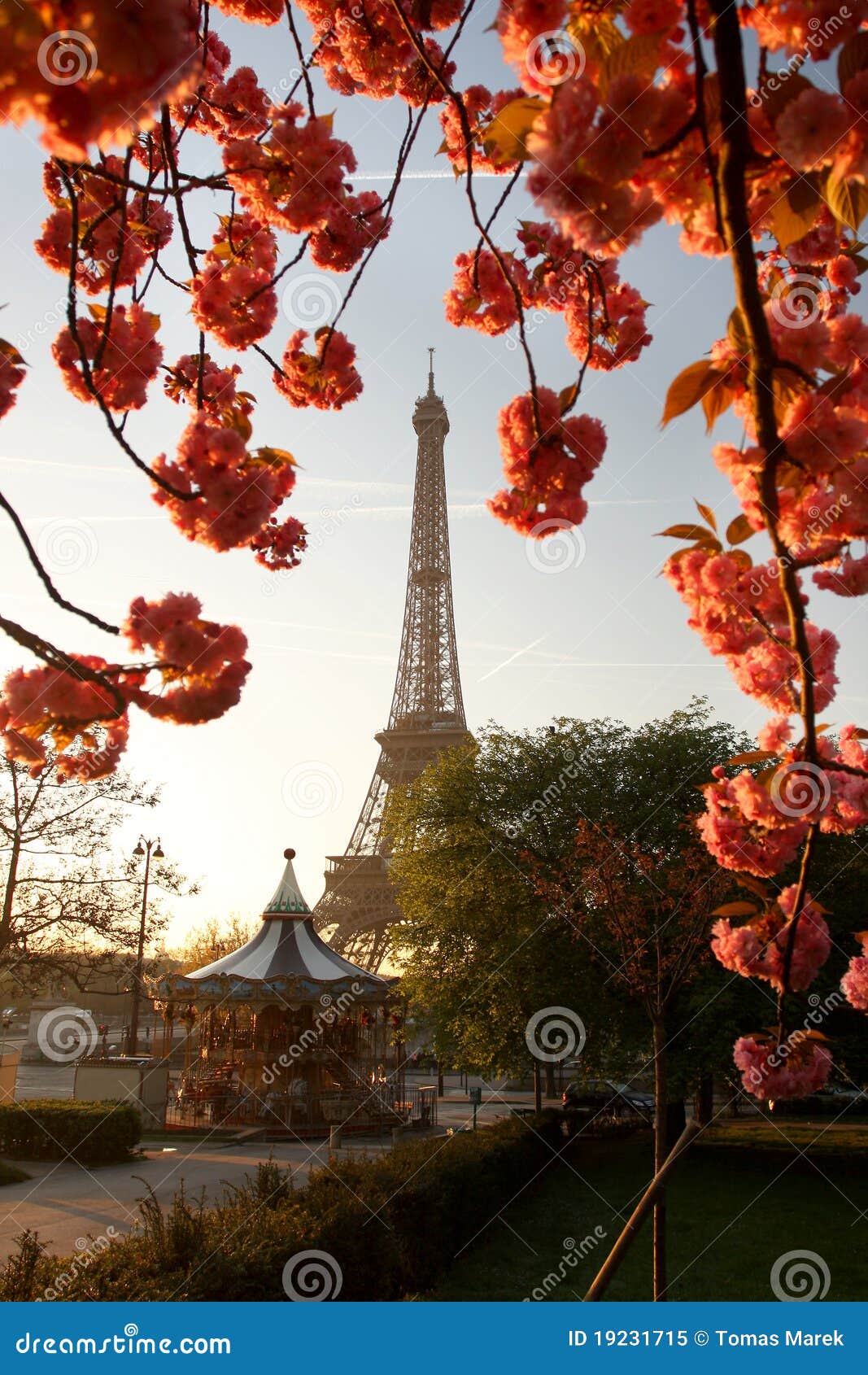 Eiffel Tower in Spring, Paris, France Stock Image - Image of leaf ...