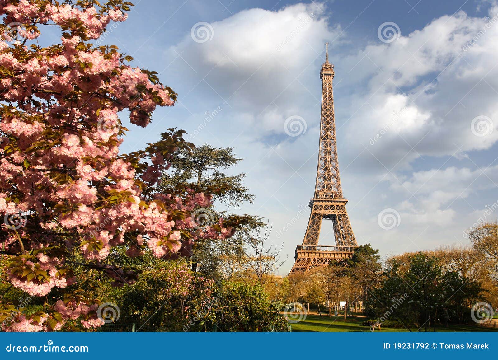 Eiffel Tower in Spring Time, Paris Stock Photo - Image of dawn ...