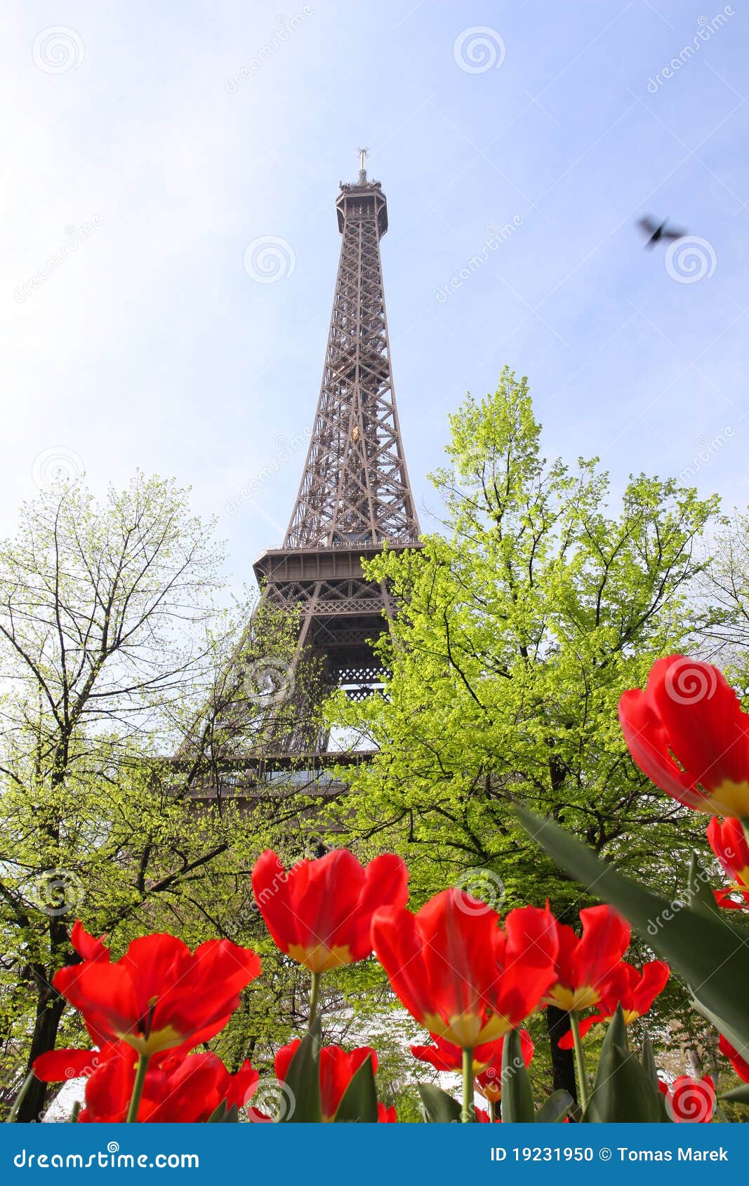 Eiffel Tower in Spring Time, Paris, France Stock Photo - Image of ...