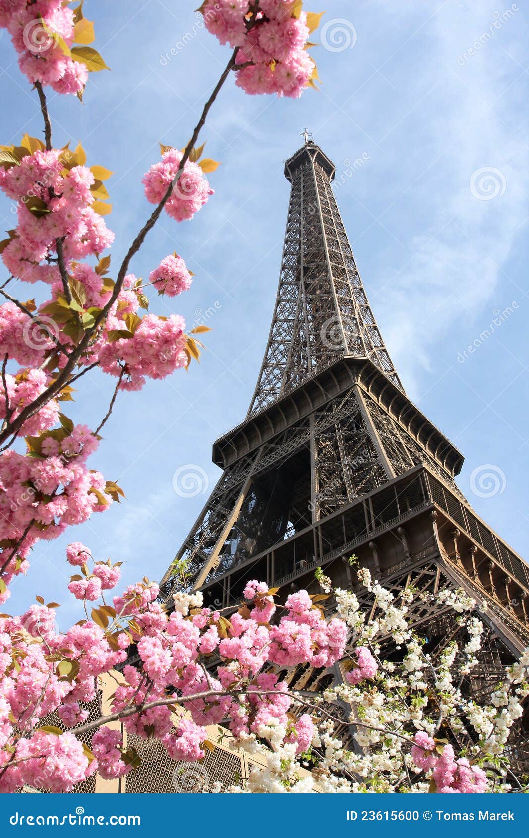 Eiffel Tower in Spring Time, Paris, France Stock Photo - Image of ...