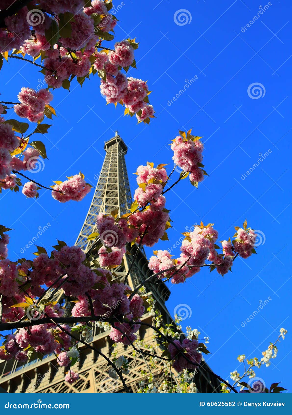 Eiffel Tower in Spring Time Stock Photo - Image of environment, floral ...